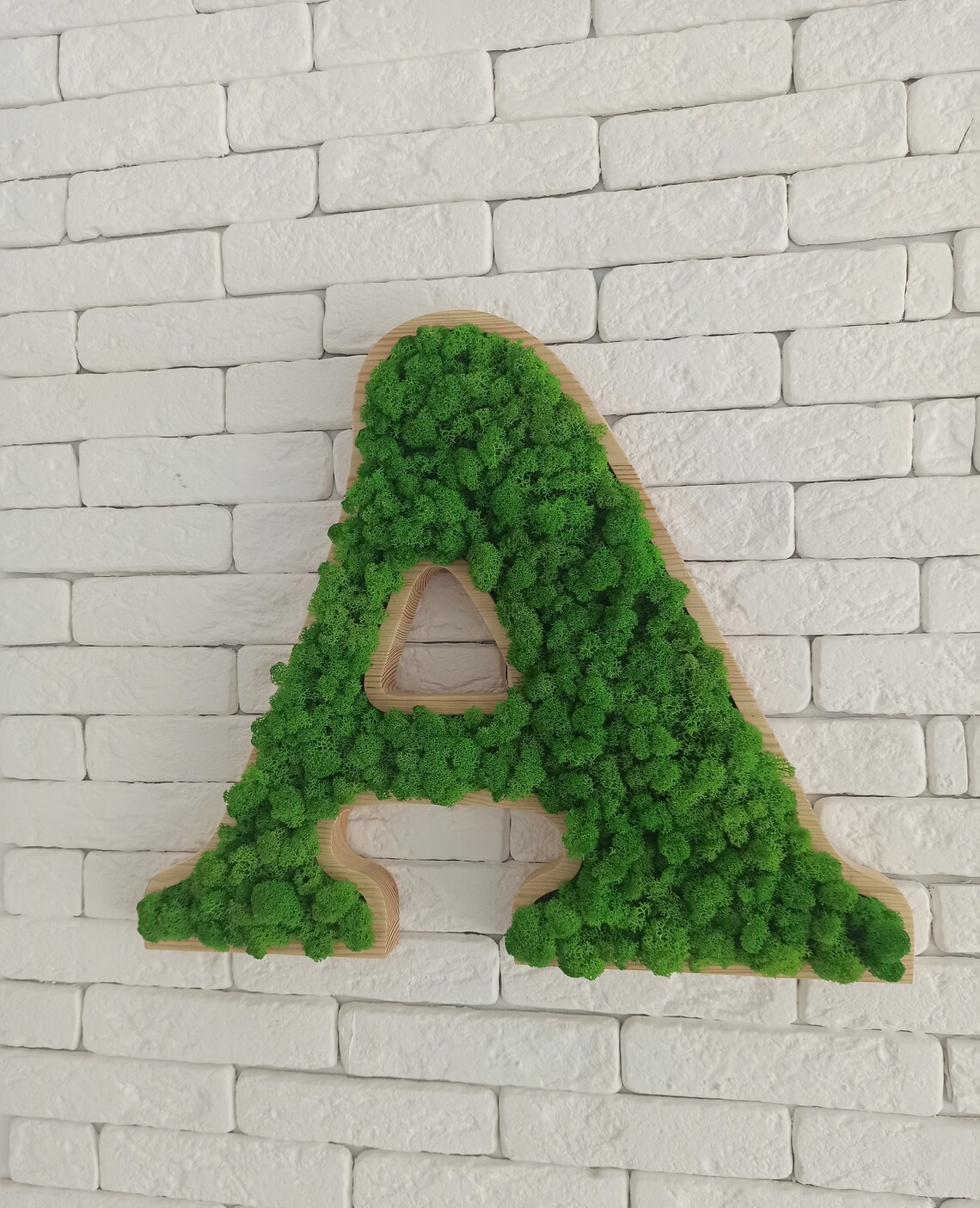 Custom Logo Moss Letters Moss Logo Design Logo Vegetal Real - Etsy