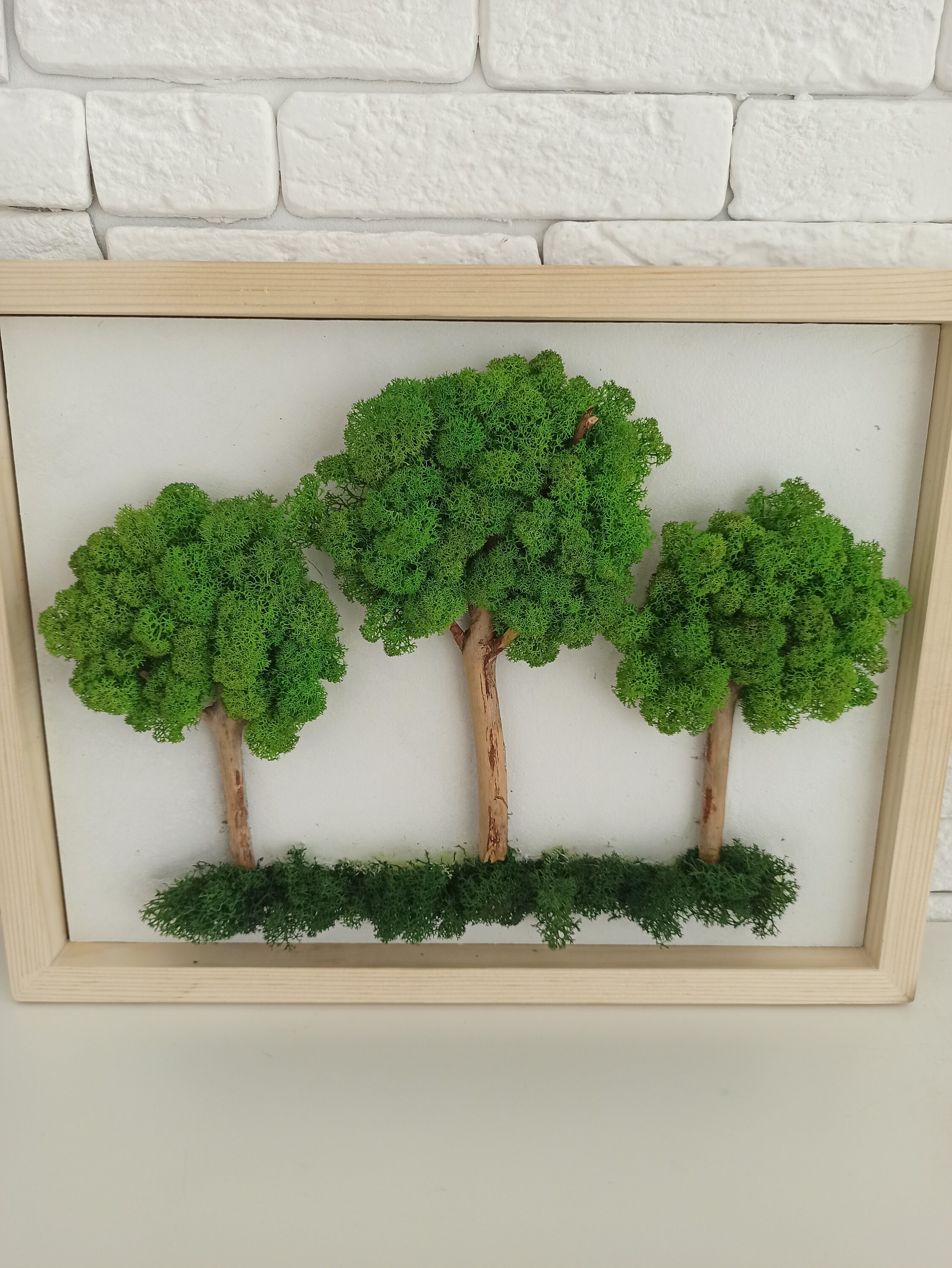 Arte de musgo conservado enmarcado decoración de musgo real | Etsy