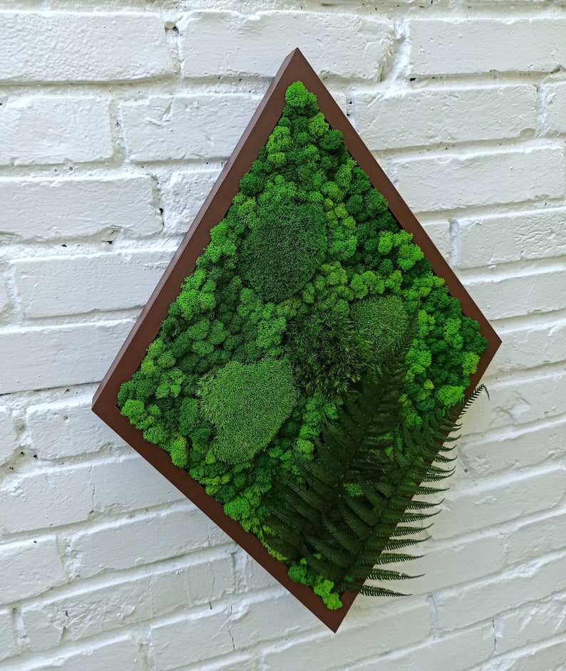 Preserved Moss Art Framed Real Moss Decor Living Moss Wall - Etsy