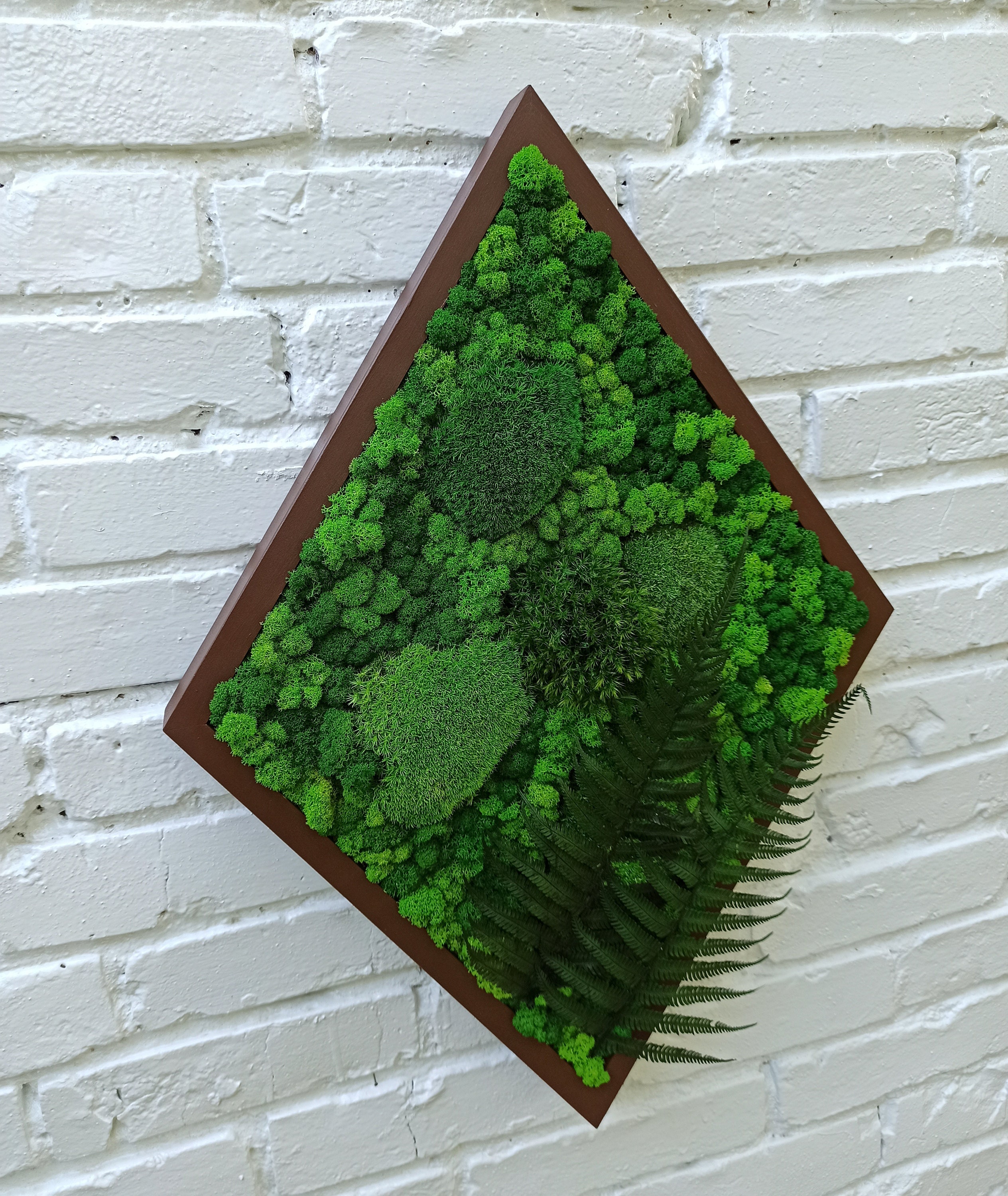 Preserved Moss Art Framed Real Moss Decor Living Moss Wall - Etsy