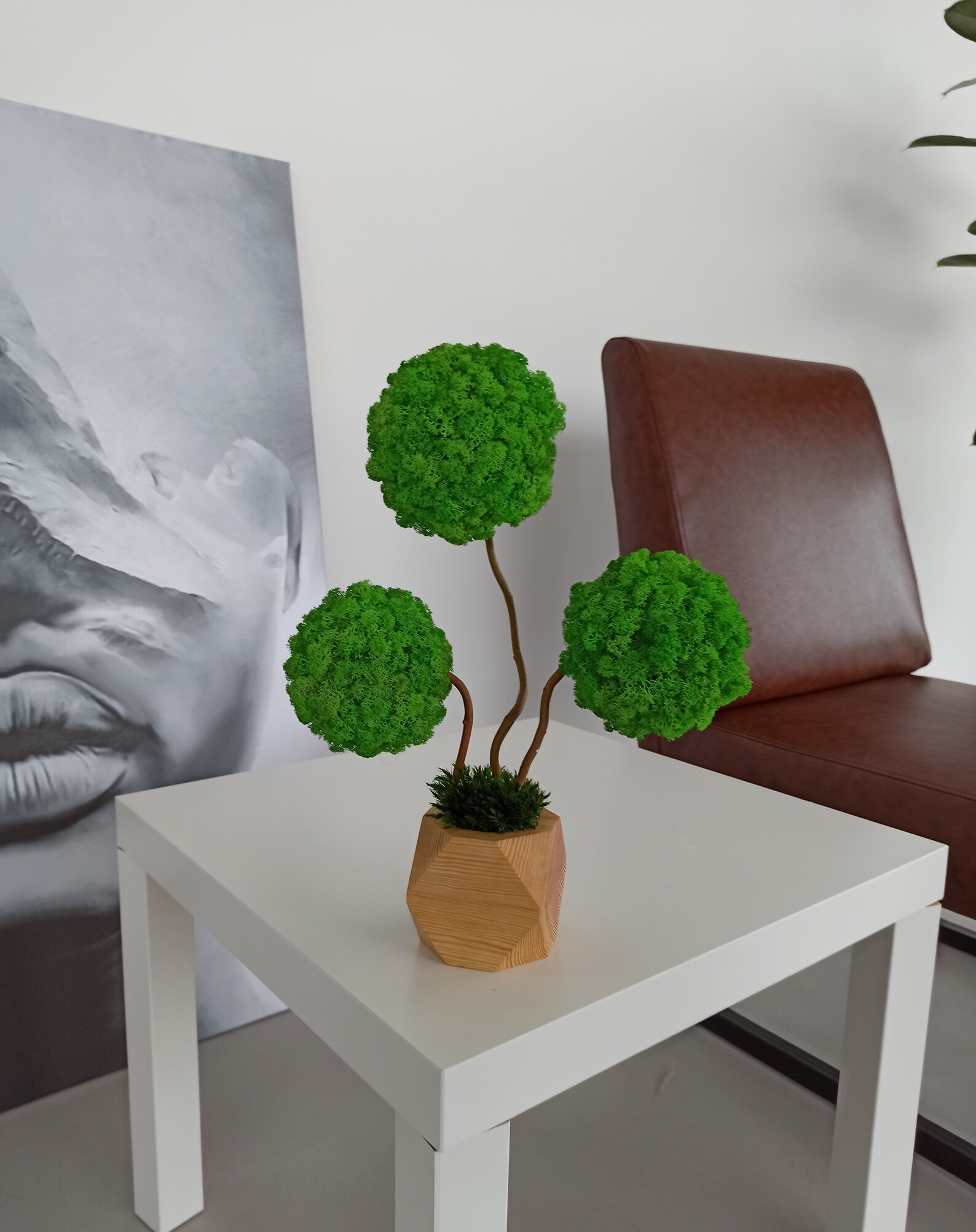 Moss Topiary in Wood Planter Bonsai Tree Moss Eco Happiness - Etsy