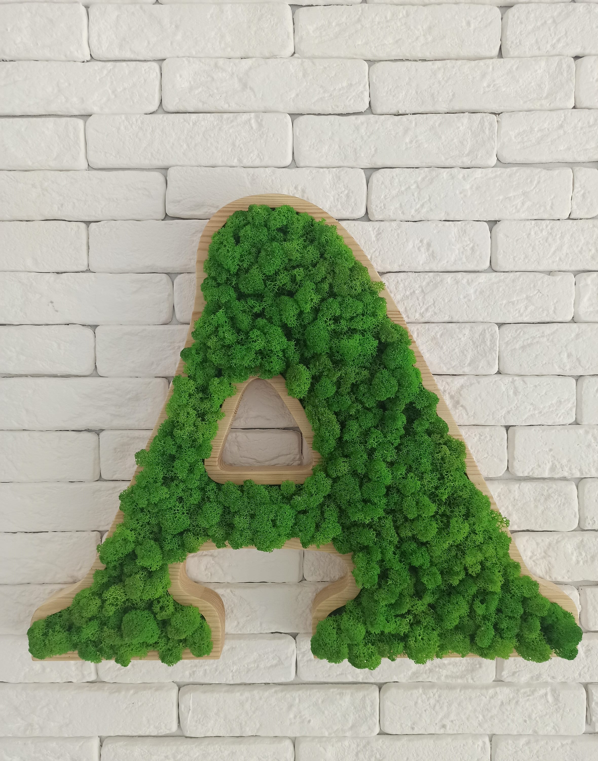 Custom Logo Moss Letters Moss Logo Design Logo Vegetal Real - Etsy