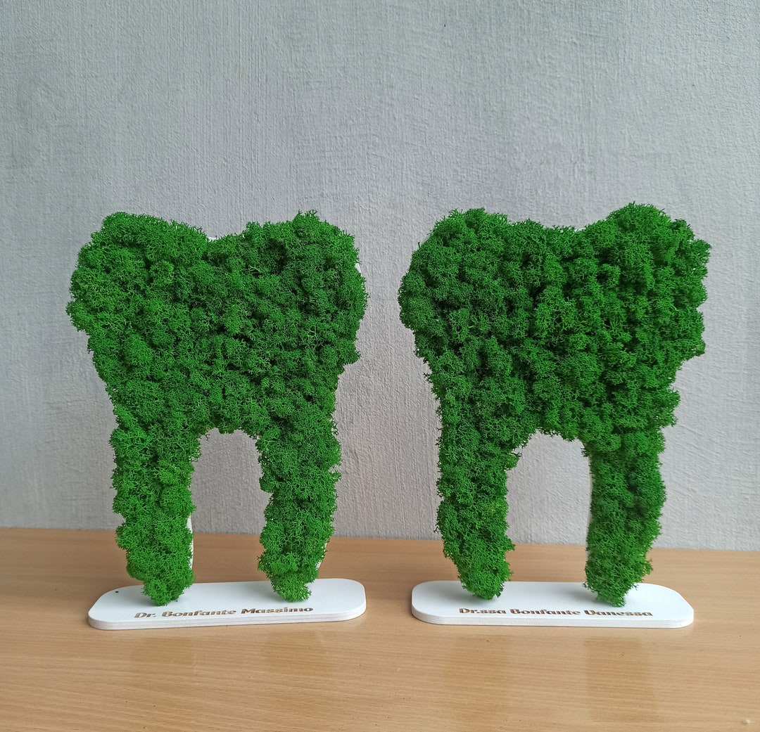 Custom Moss Tooth, for Dentist Graduation Gift, Future Dentist, Dental ...