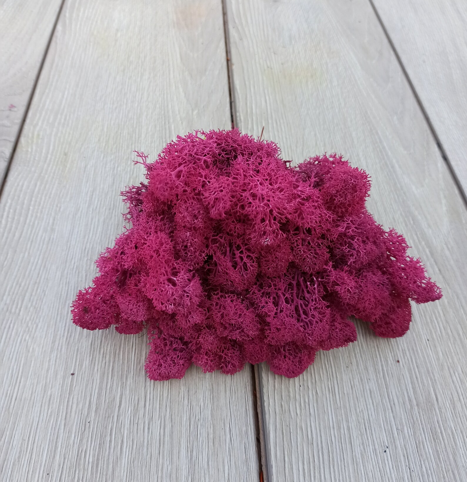 Red Moss Lips Wall Art Beauty Studio Decor Salon Decor Wall - Etsy