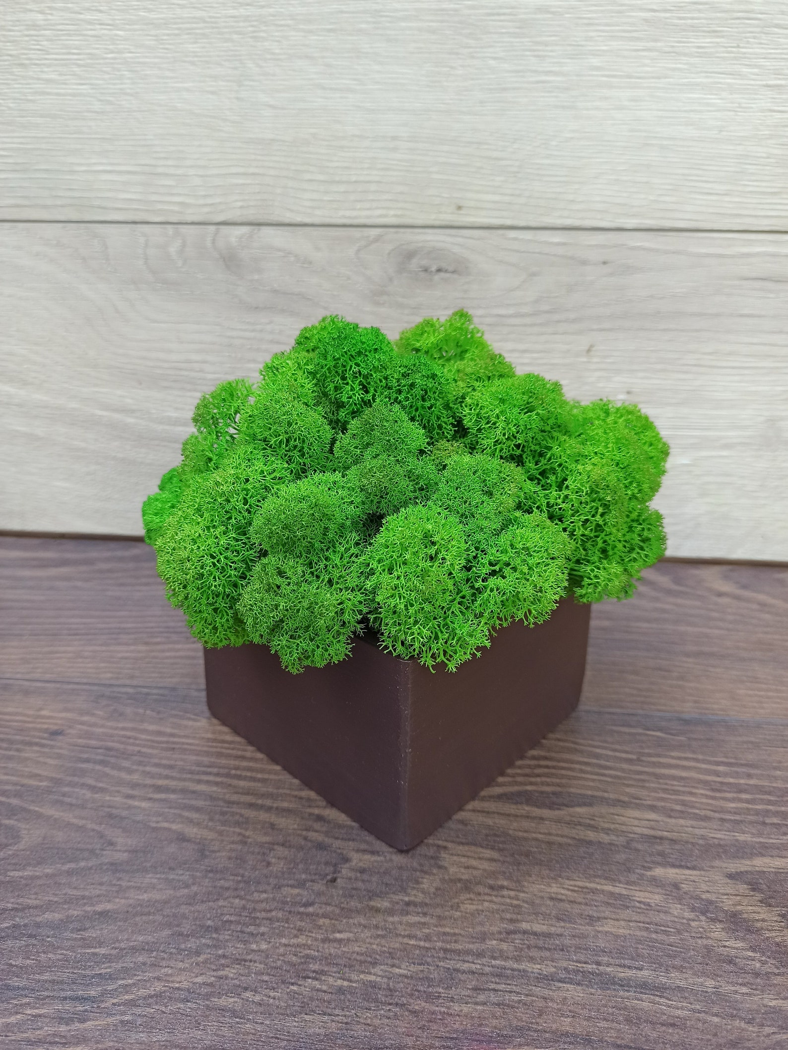 Wooden pot with green stabilized moss real green moss | Etsy