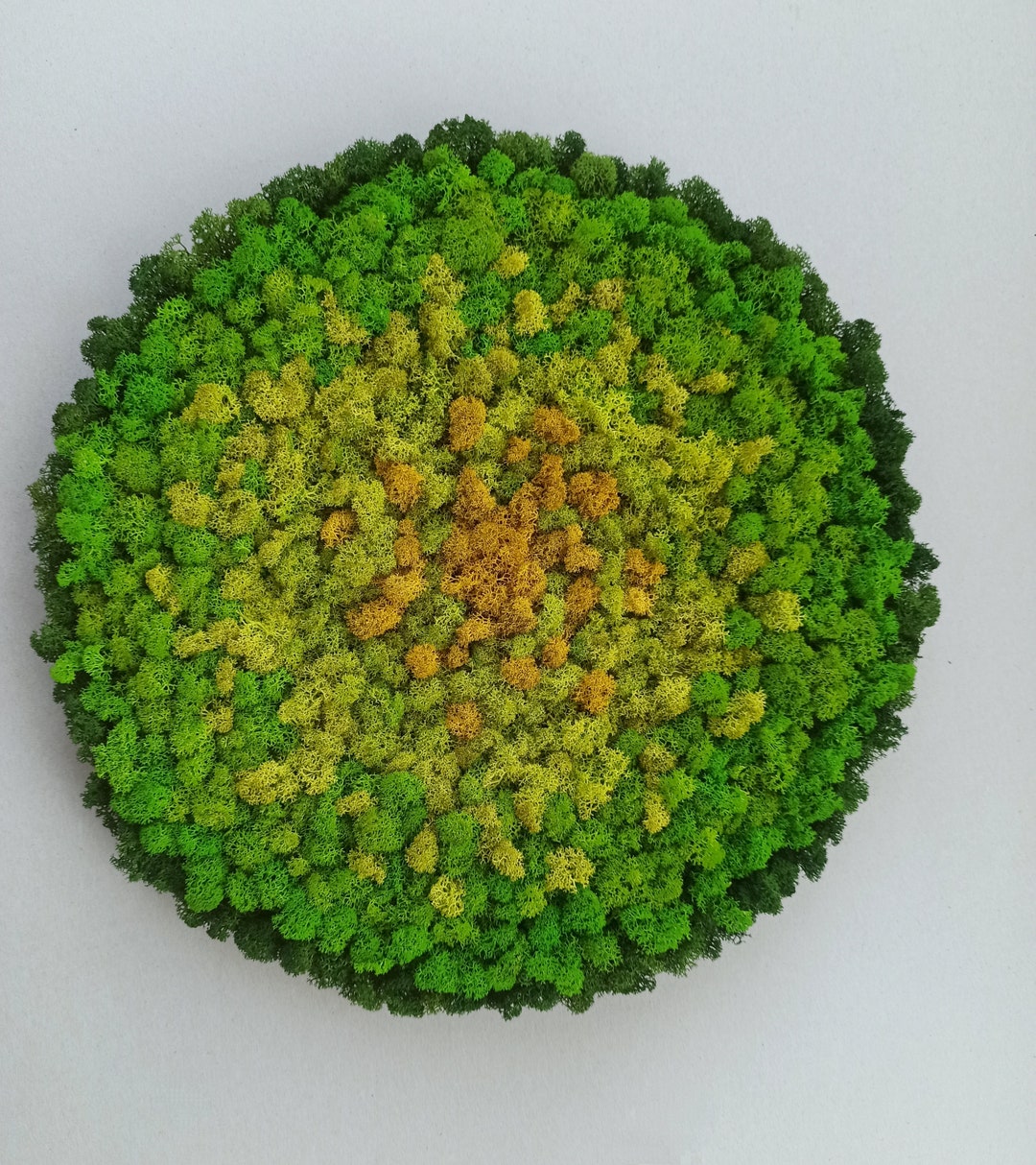 Round Moss Wall Art, Preserved Moss Circle, Real Circular Moss Art ...