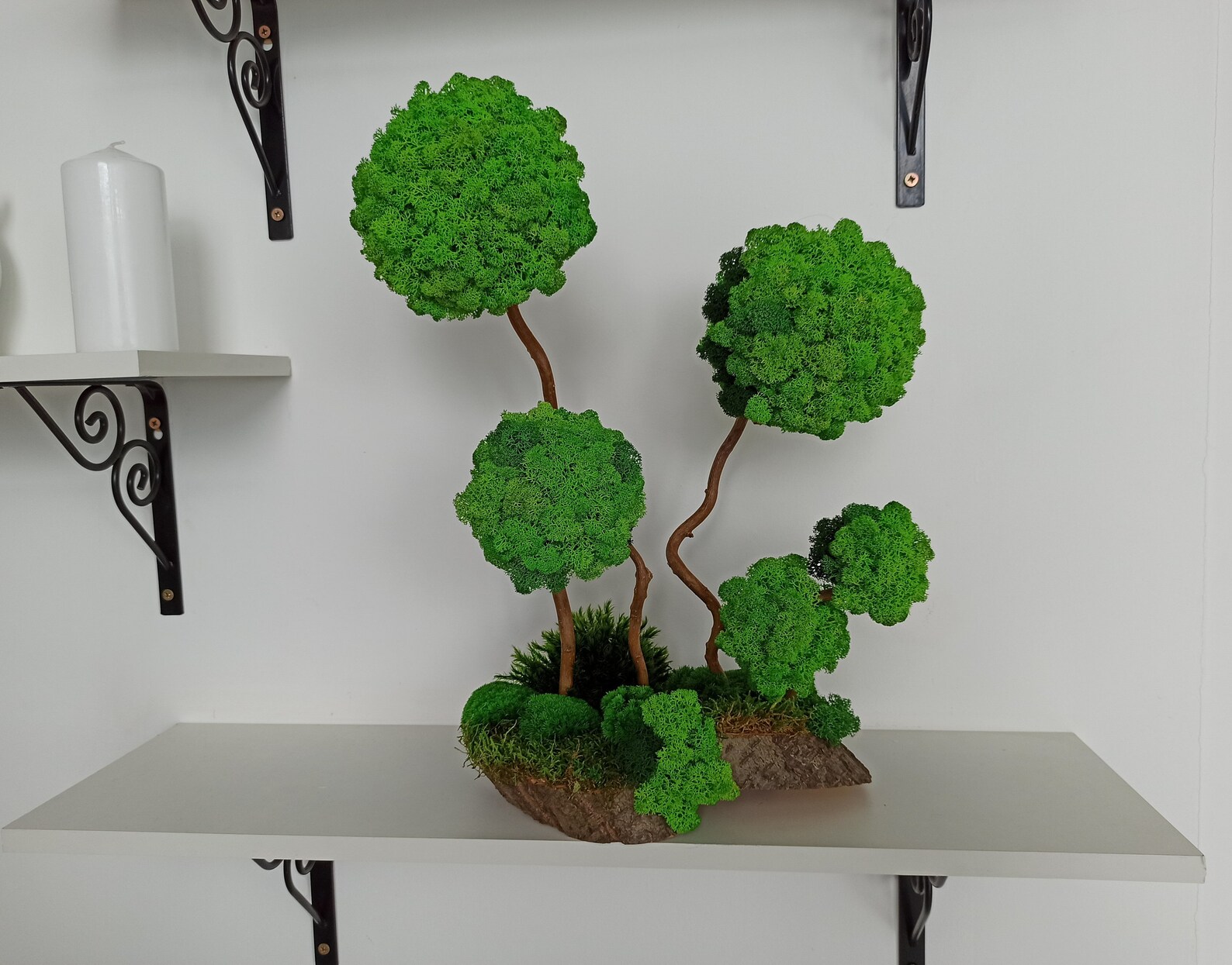 Moss Topiary Bonsai Tree Moss Eco Happiness Tree Nature - Etsy