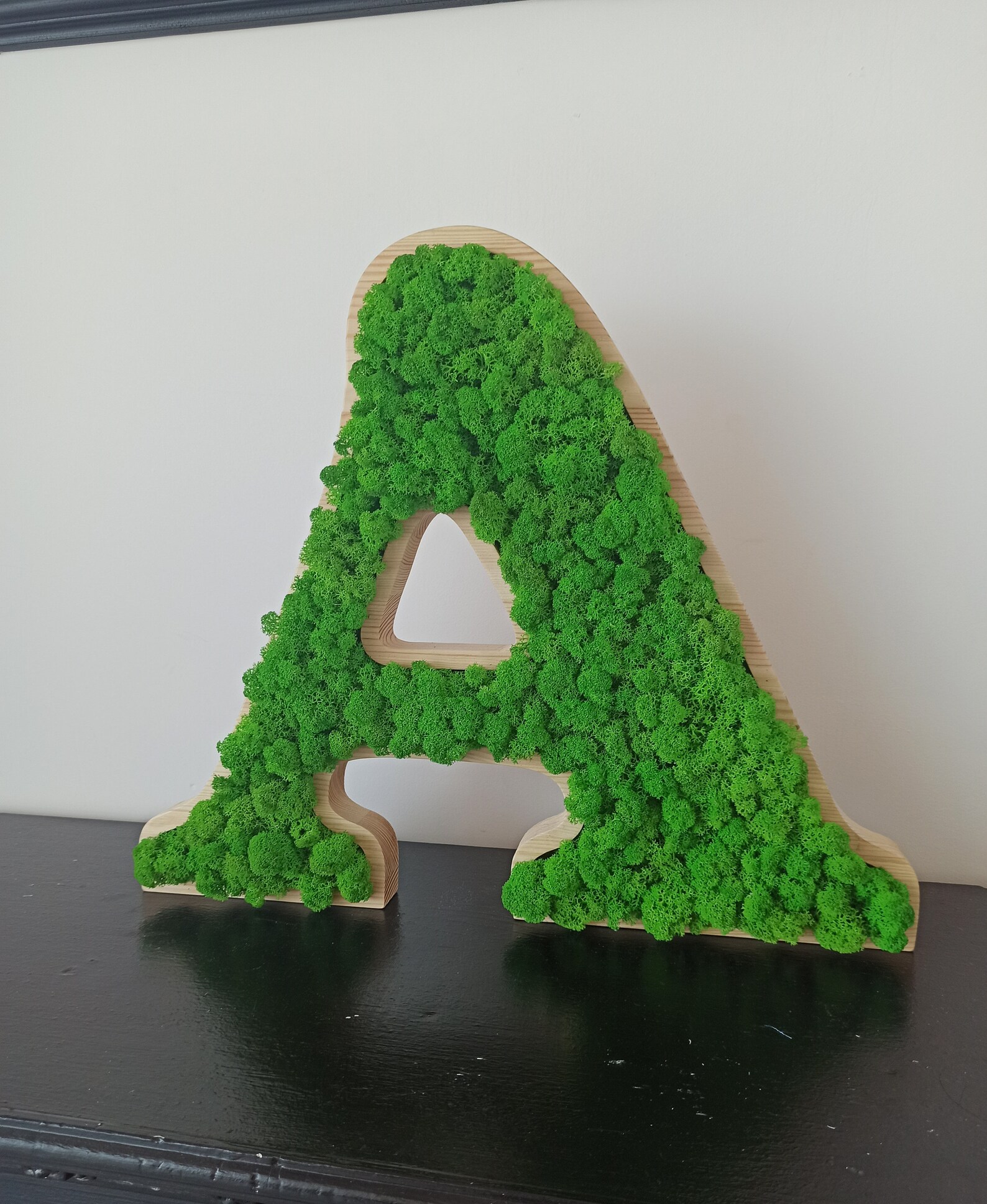 Custom Logo Moss Letters Moss Logo Design Logo Vegetal Real - Etsy