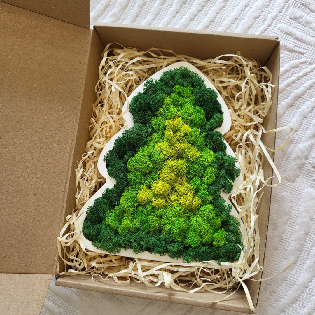 Wooden Christmas Tree With Preserved Moss, Tabletop Xmas Tree, Mini ...