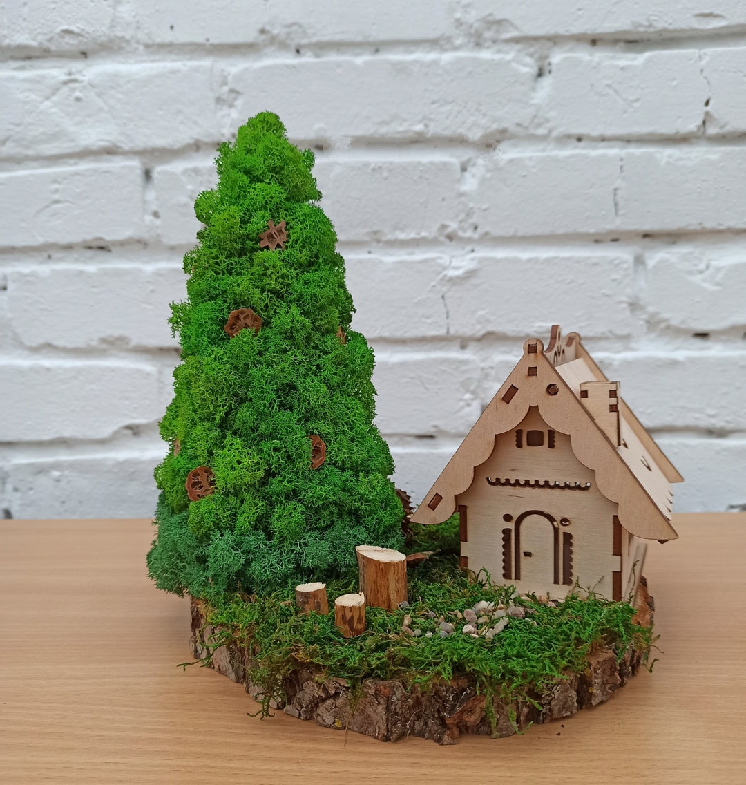 Moss Centerpiece, Christmas Table Centerpiece, Moss Art, Christmas ...