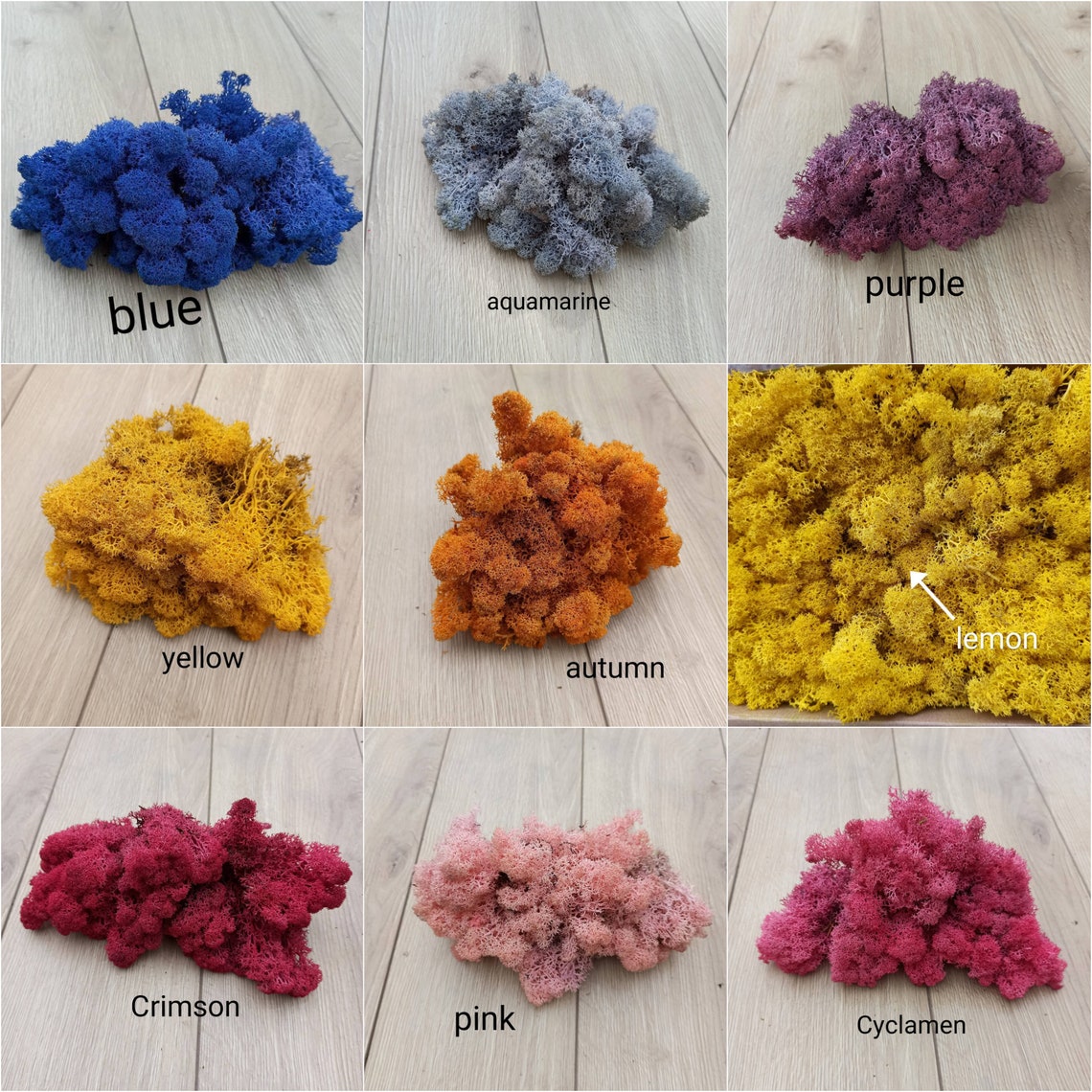 Custom Logo Moss Letters Moss Logo Design Logo Vegetal Real - Etsy