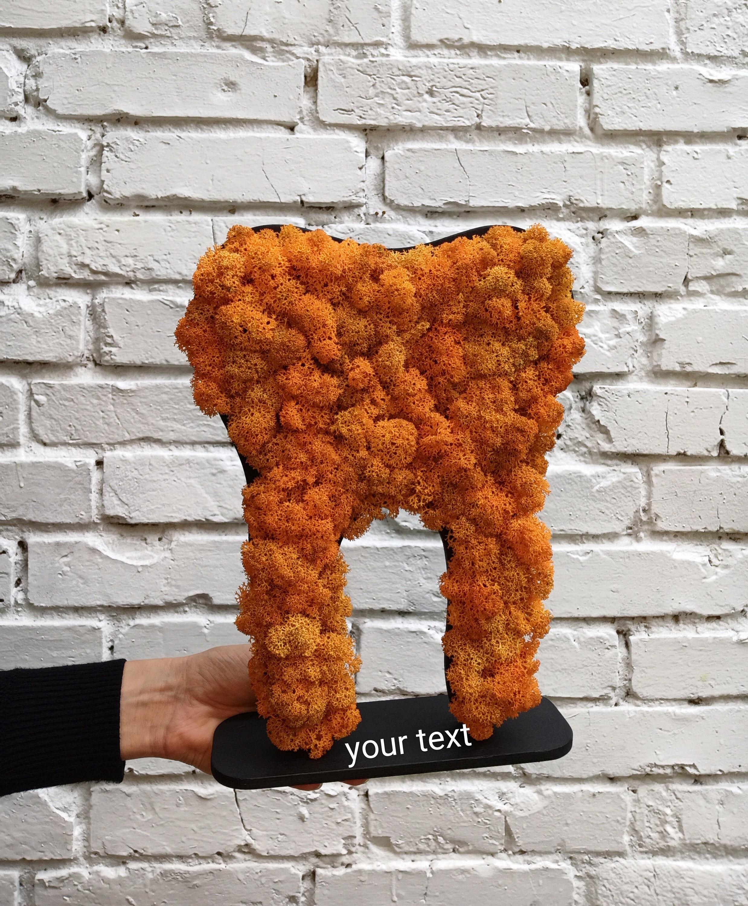 Moss tooth Dentist Gift Dental Office Decor Dentist office | Etsy