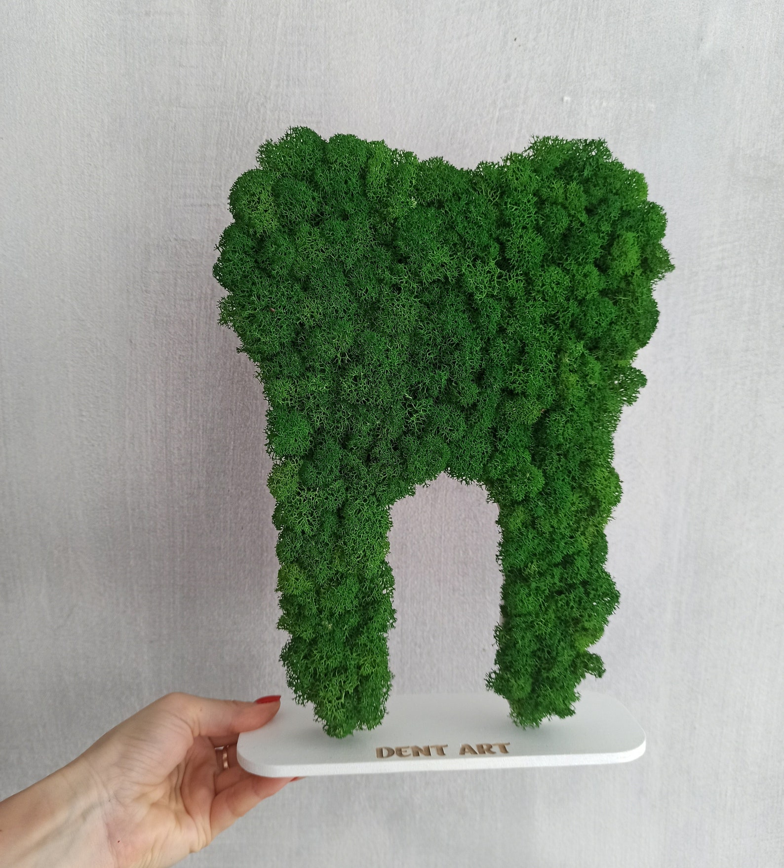 Moss Tooth Dentist Gift Dental Office Decor Dentist Office - Etsy