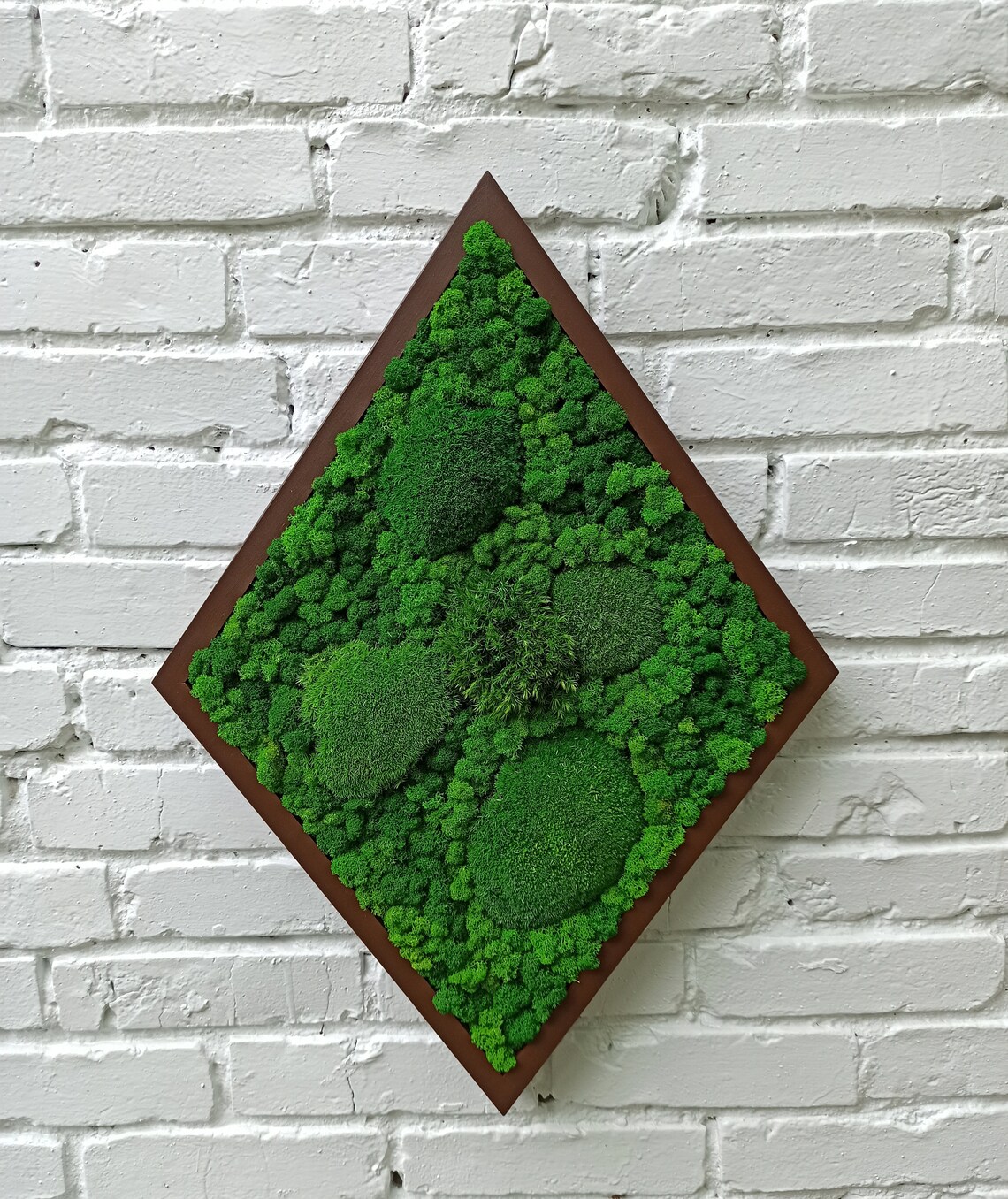 Moss Art Moss Wall Art Preserved Moss Moss Frame Real Moss - Etsy