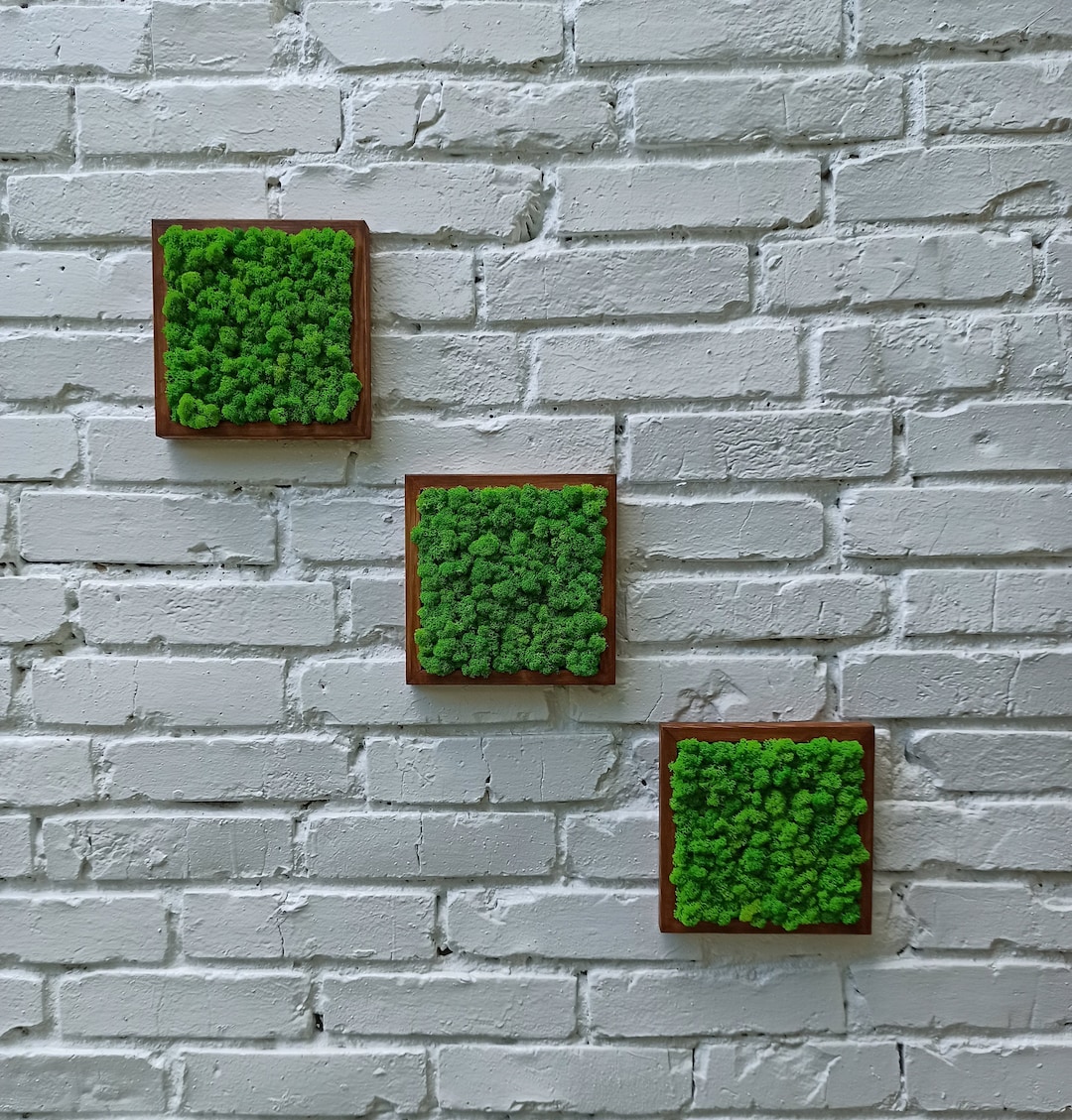 Moss Wall Art, Set of 3 Moss Frames, Moss Wall, Real Moss Decor, Nature ...