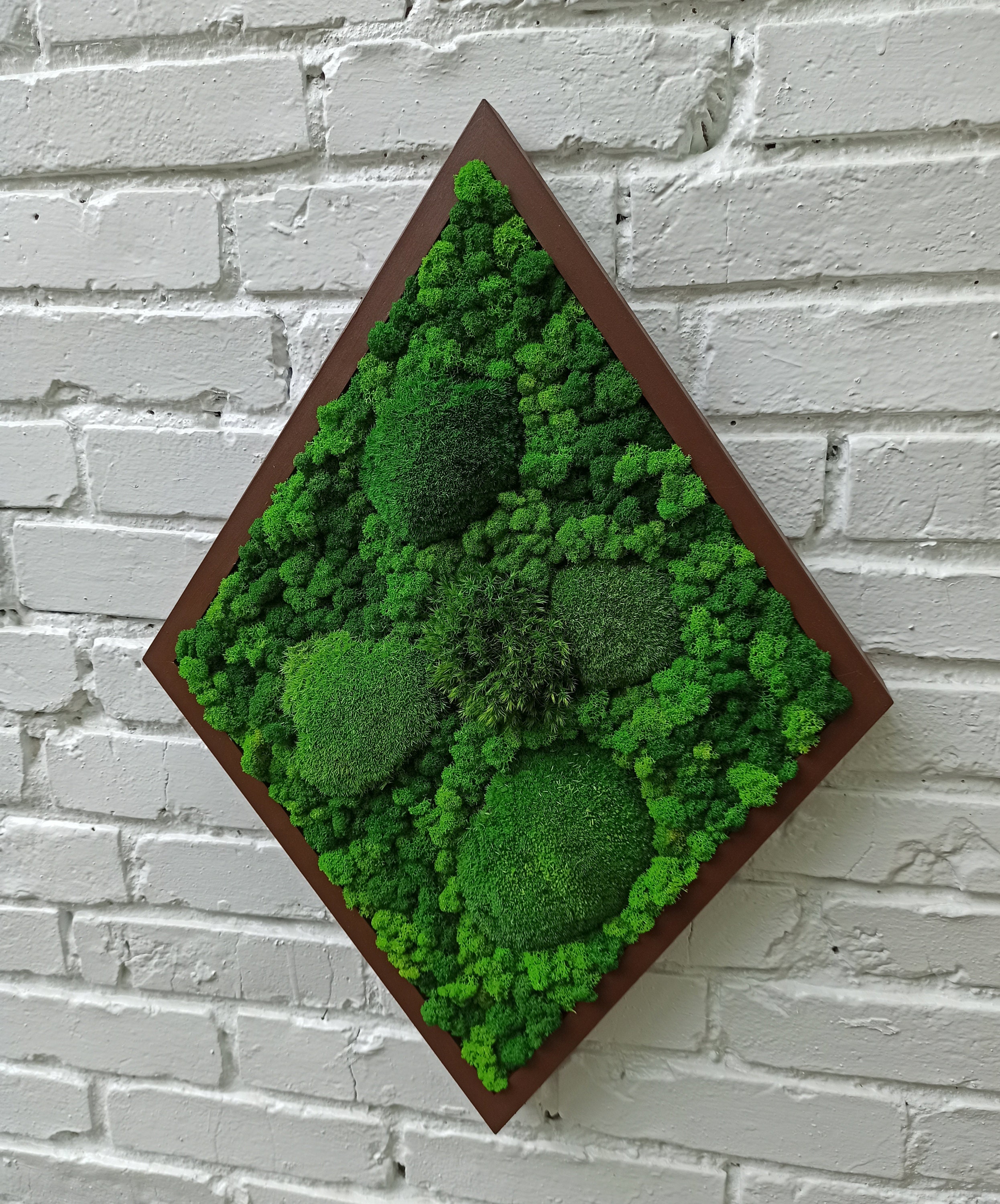Moss art Moss wall art Preserved Moss Moss frame Real Moss | Etsy
