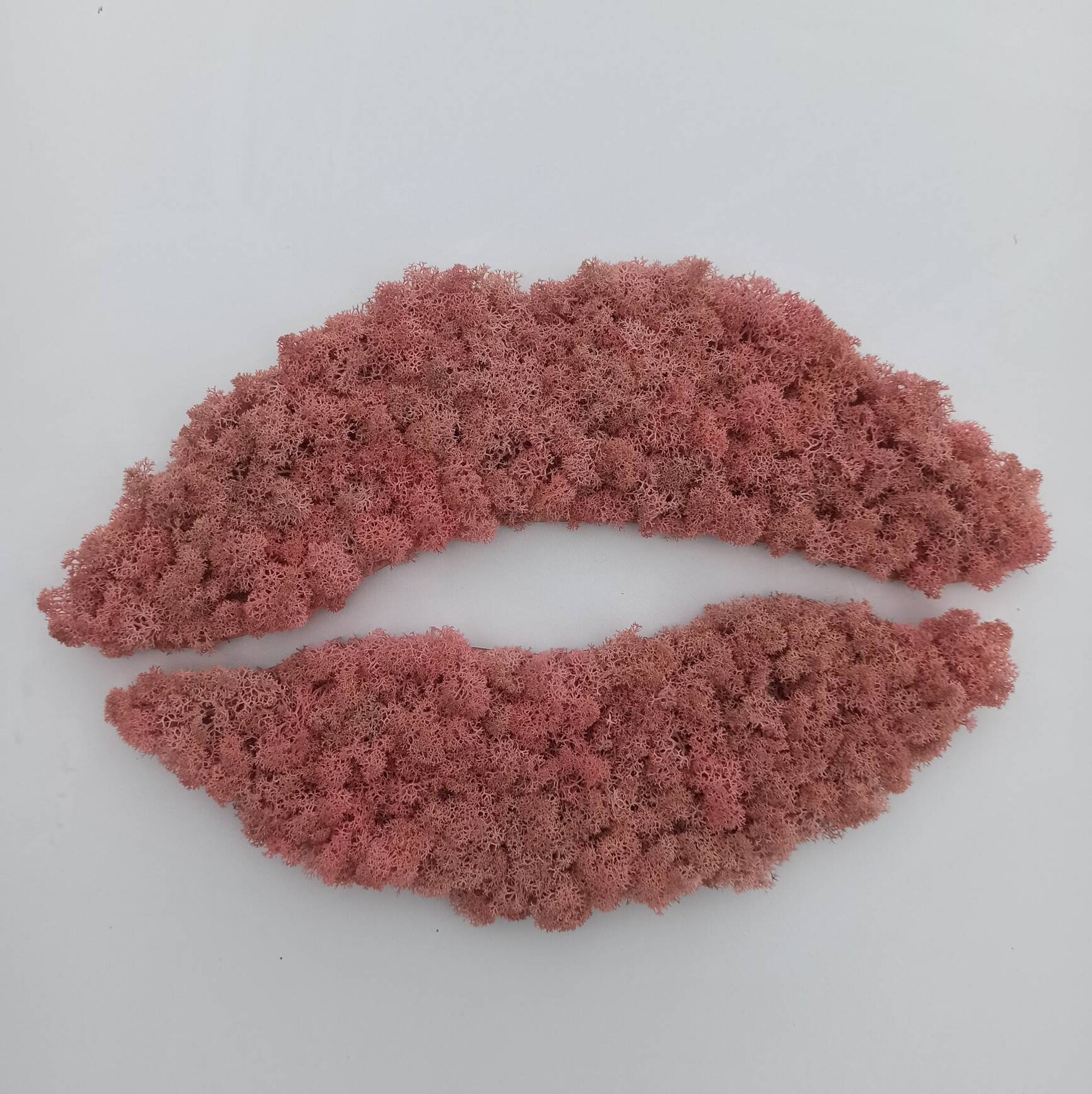 Red Moss Lips Wall Art Beauty Studio Decor Salon Decor Wall | Etsy