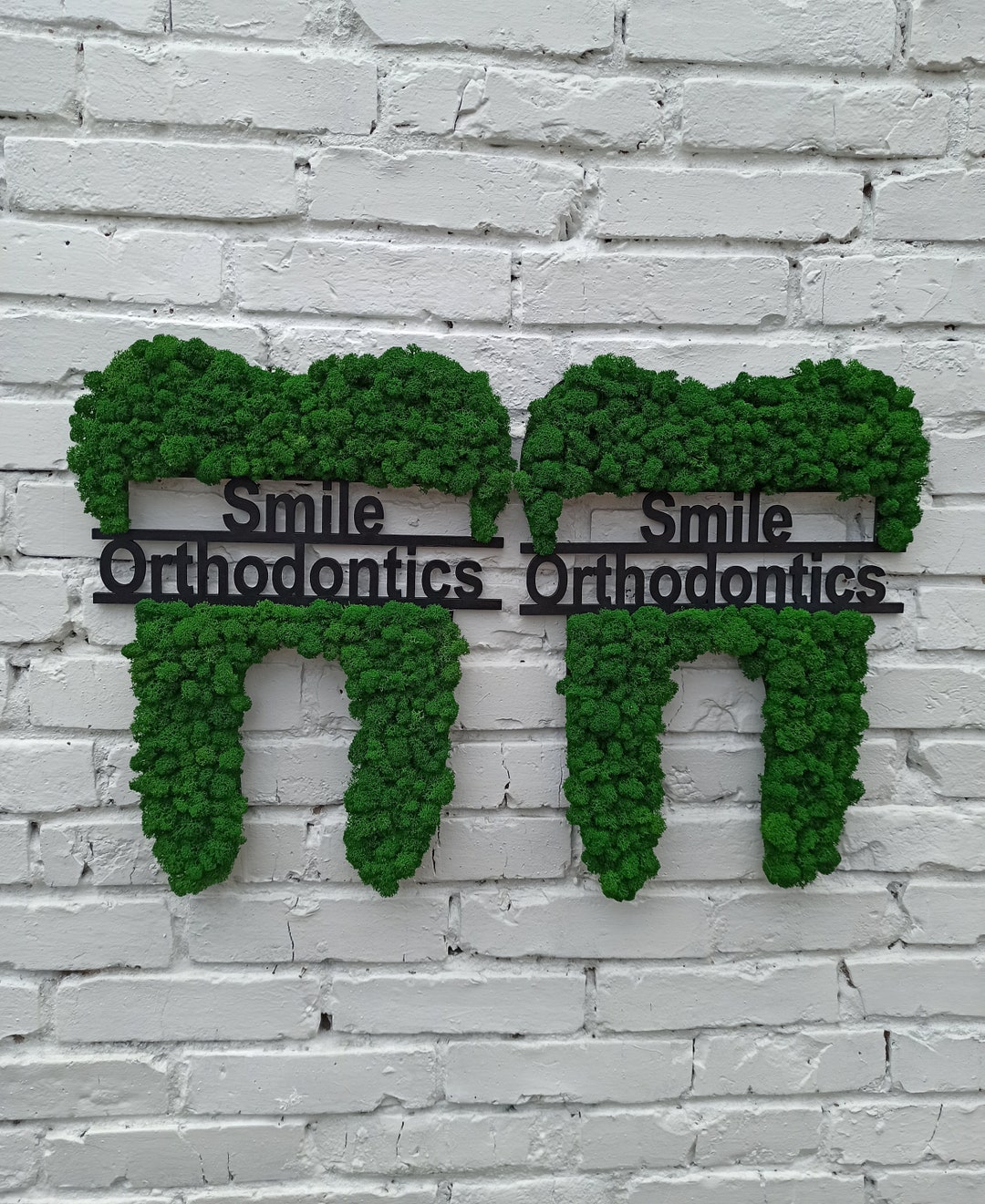 Wall Moss Tooth, Dentist Office Sign, Dental Office Wall Decor, Dentist ...