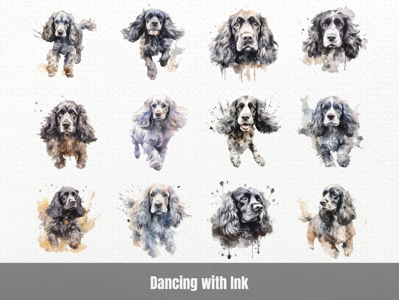 Cocker Spaniel Dogs Clipart Set Black and White Watercolour Clip Art ...