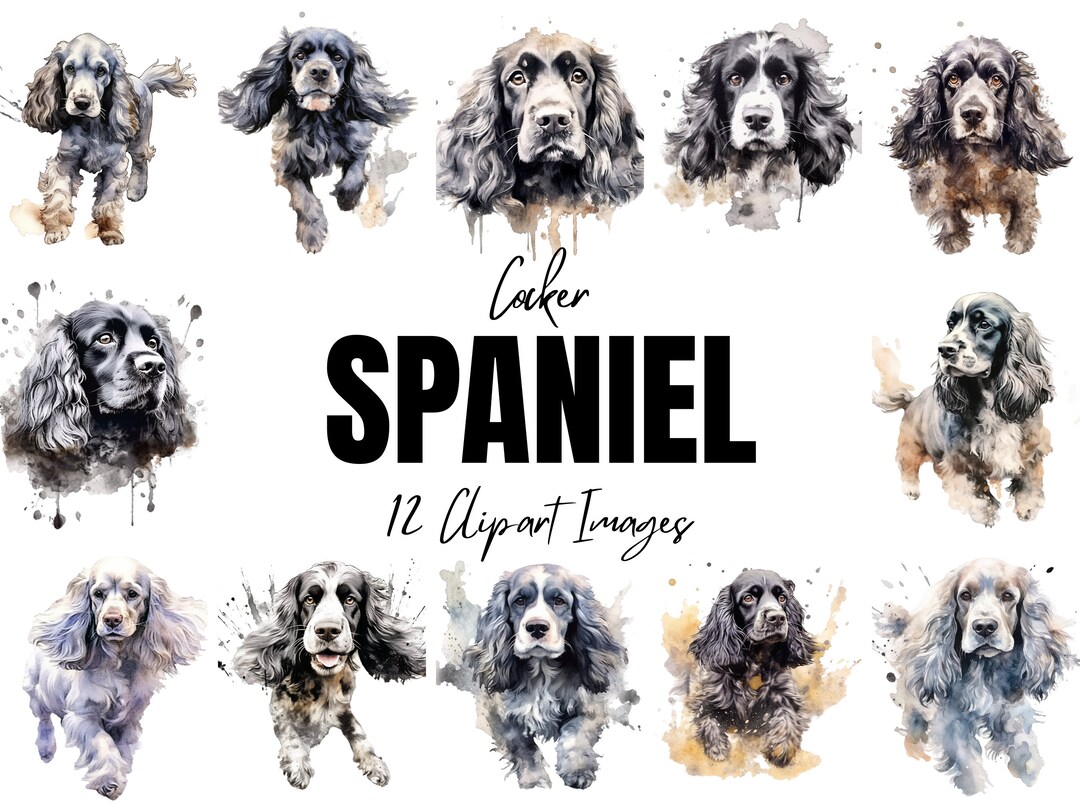 Cocker Spaniel Dogs Clipart Set Black and White Watercolour - Etsy