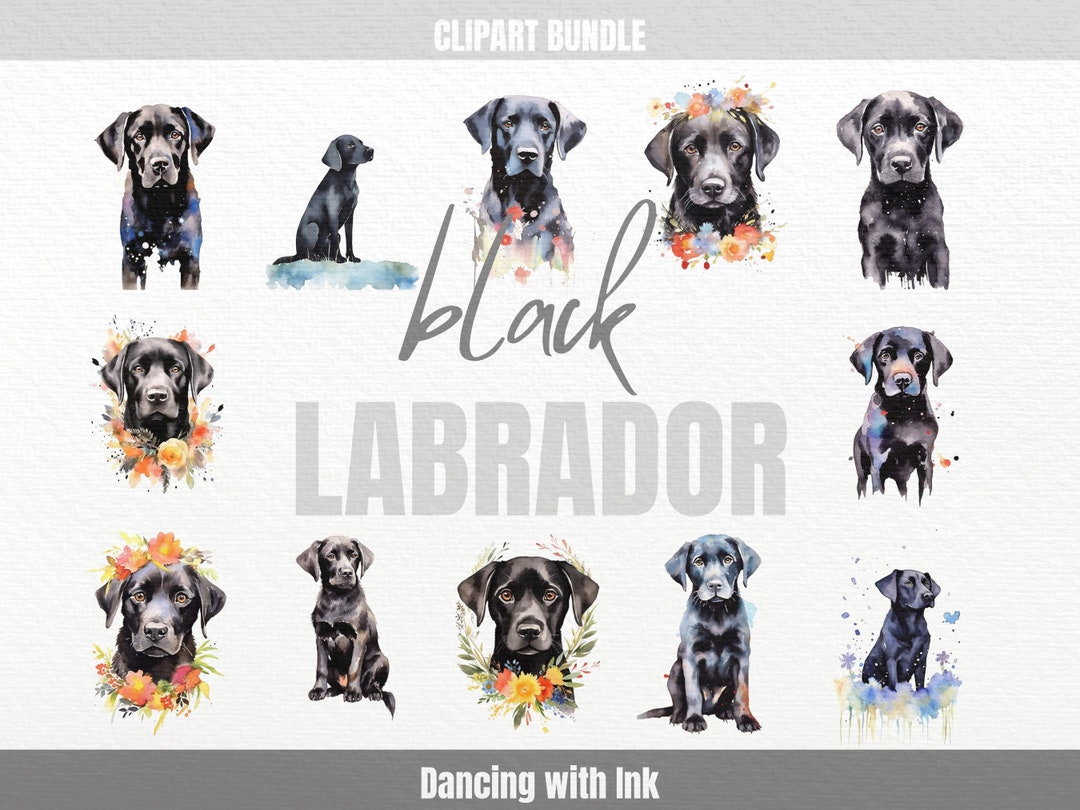 Black Labrador Clipart Set Lab Retriever PNG Dog Breed Face Clip Art ...