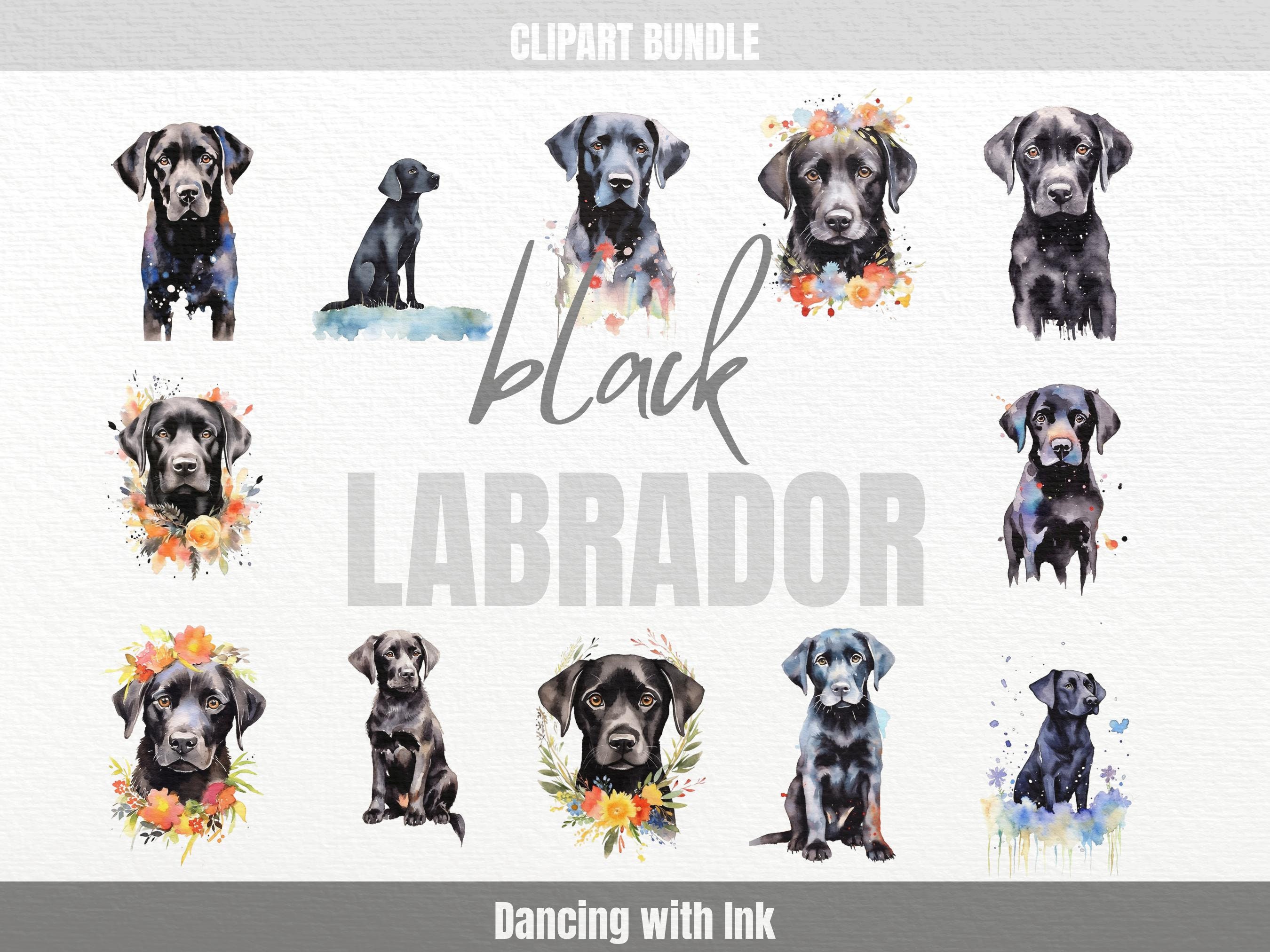 Black Labrador Clipart Set Lab Retriever PNG Dog Breed Face Clip Art ...