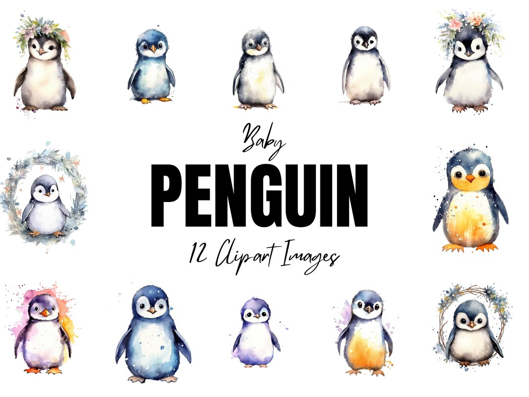 Baby Penguin Clipart Set Watercolour Winter Birds Nursery Art - Etsy