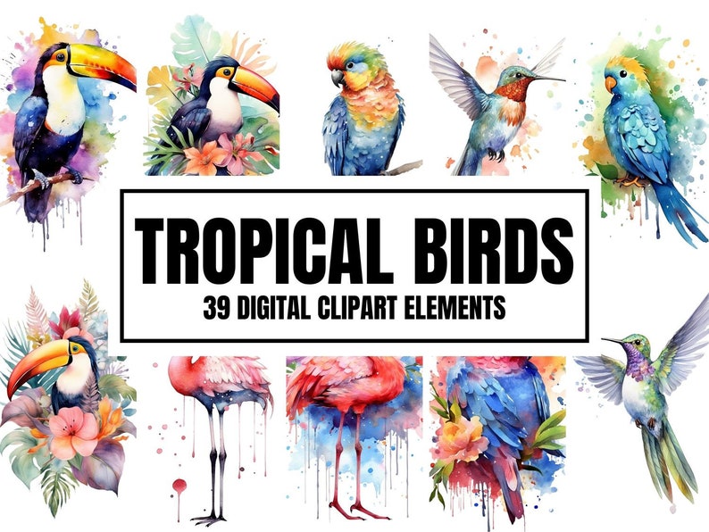 Tropical Birds Clipart Bundle Watercolour Graphics Set Transparent PNG ...