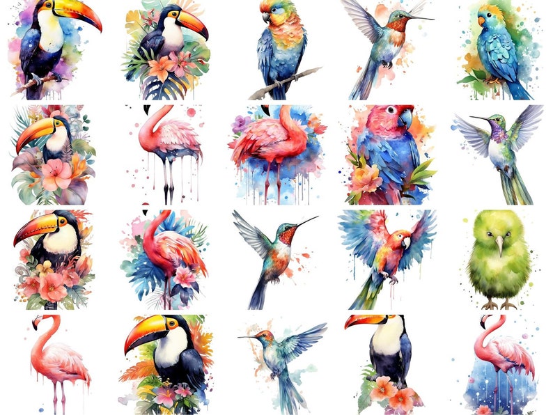 Tropical Birds Clipart Bundle Watercolour Graphics Set - Etsy