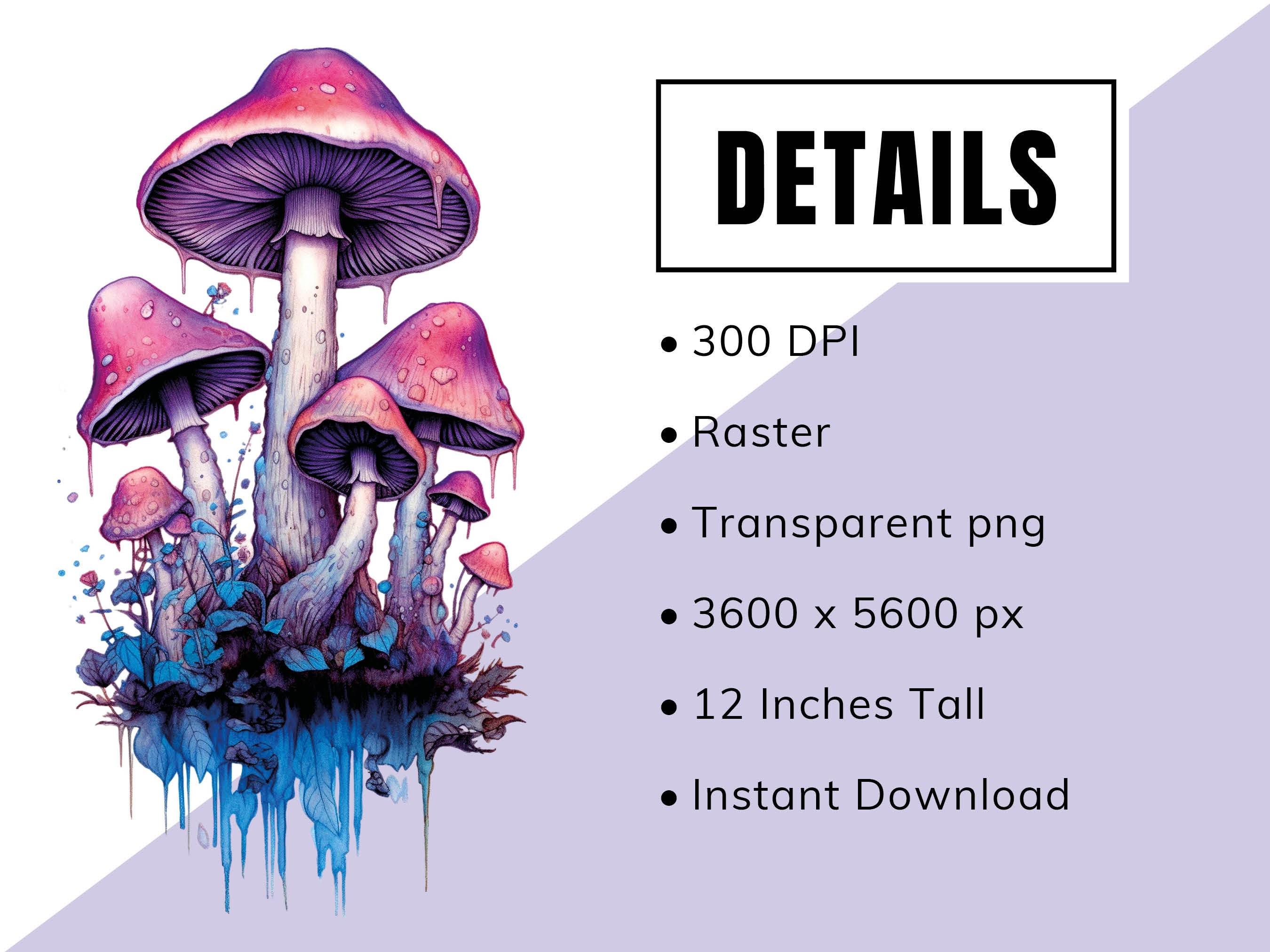 Mystical Mushroom Clipart Bundle Watercolour Graphics Set Transparent ...