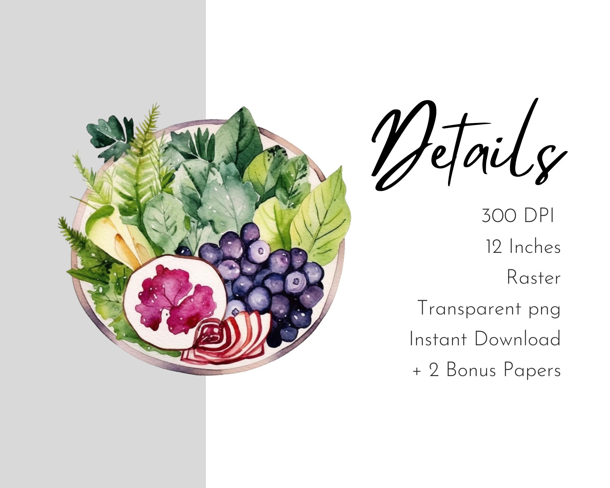 Summer Salads Clipart Purple Green Watercolour Food Menu Diet Lettuce ...