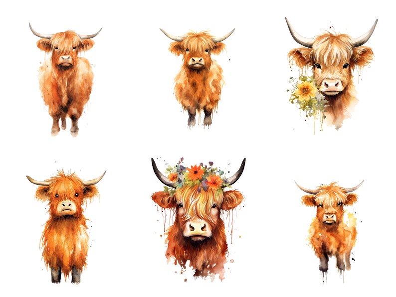 Highland Cow Clipart Set Watercolour Heilan Coo Png Commercial - Etsy
