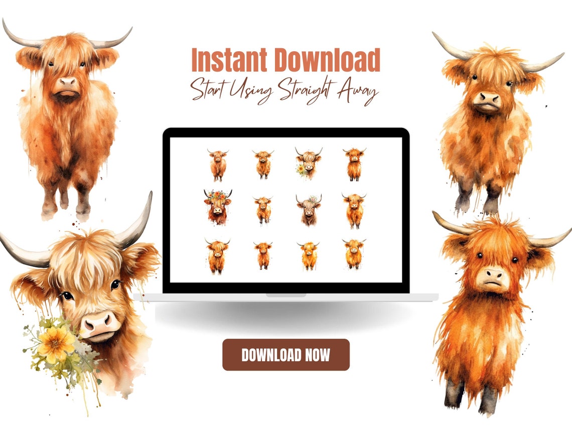 Highland Cow Clipart Set Watercolour Heilan Coo Png Commercial Use ...
