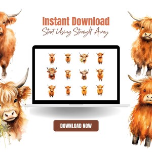 Highland Cow Clipart Set Watercolour Heilan Coo Png Commercial Use ...