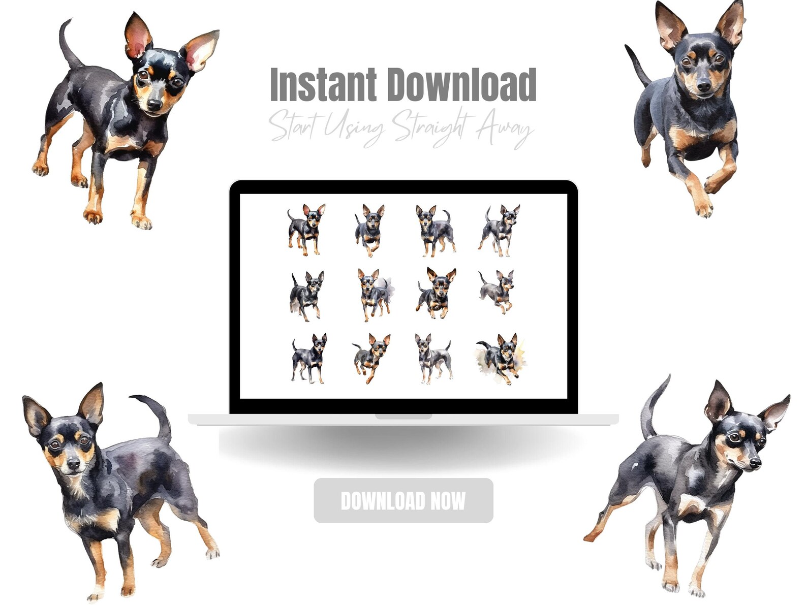 Miniature Pinscher Clipart Set Mini Pin Zwergpinscher Digital ...