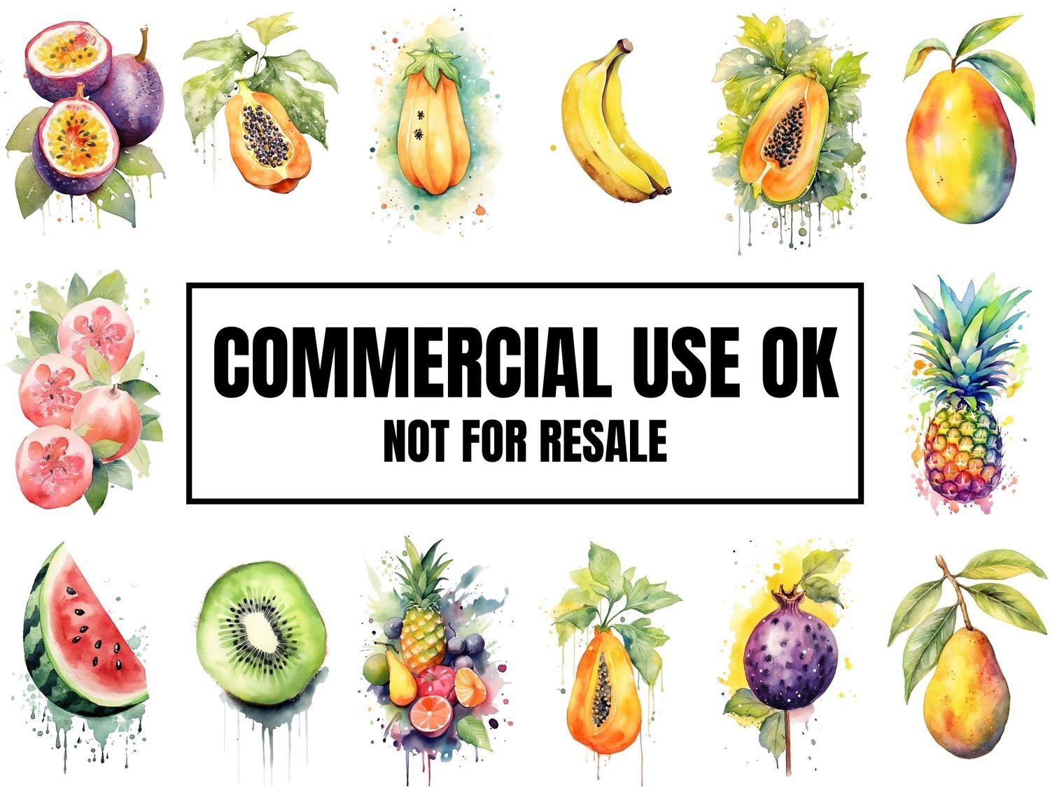 Tropical Fruit Clipart Bundle Watercolour Graphics Set Transparent PNG ...