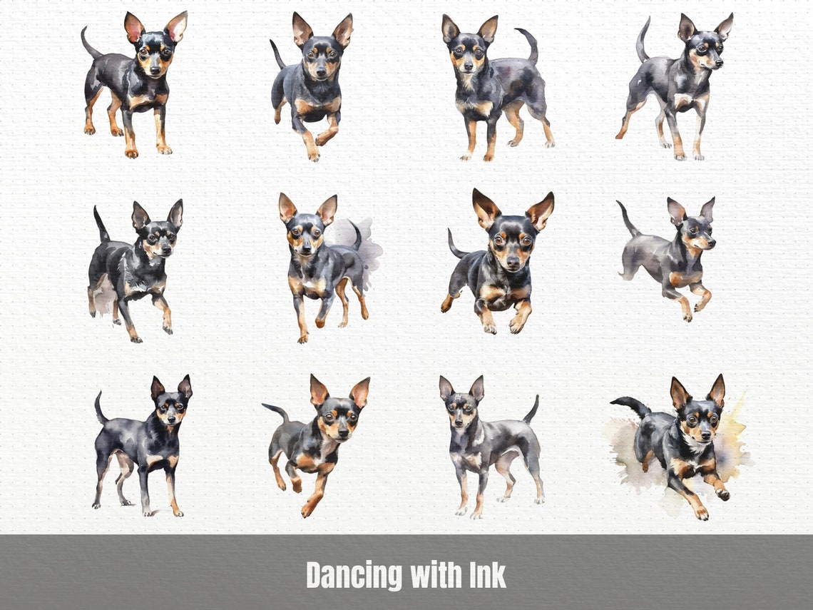 Miniature Pinscher Clipart Set Mini Pin Zwergpinscher Digital ...