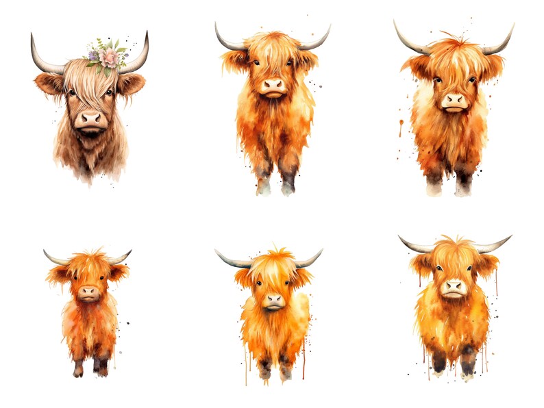 Highland Cow Clipart Set Watercolour Heilan Coo Png Commercial - Etsy