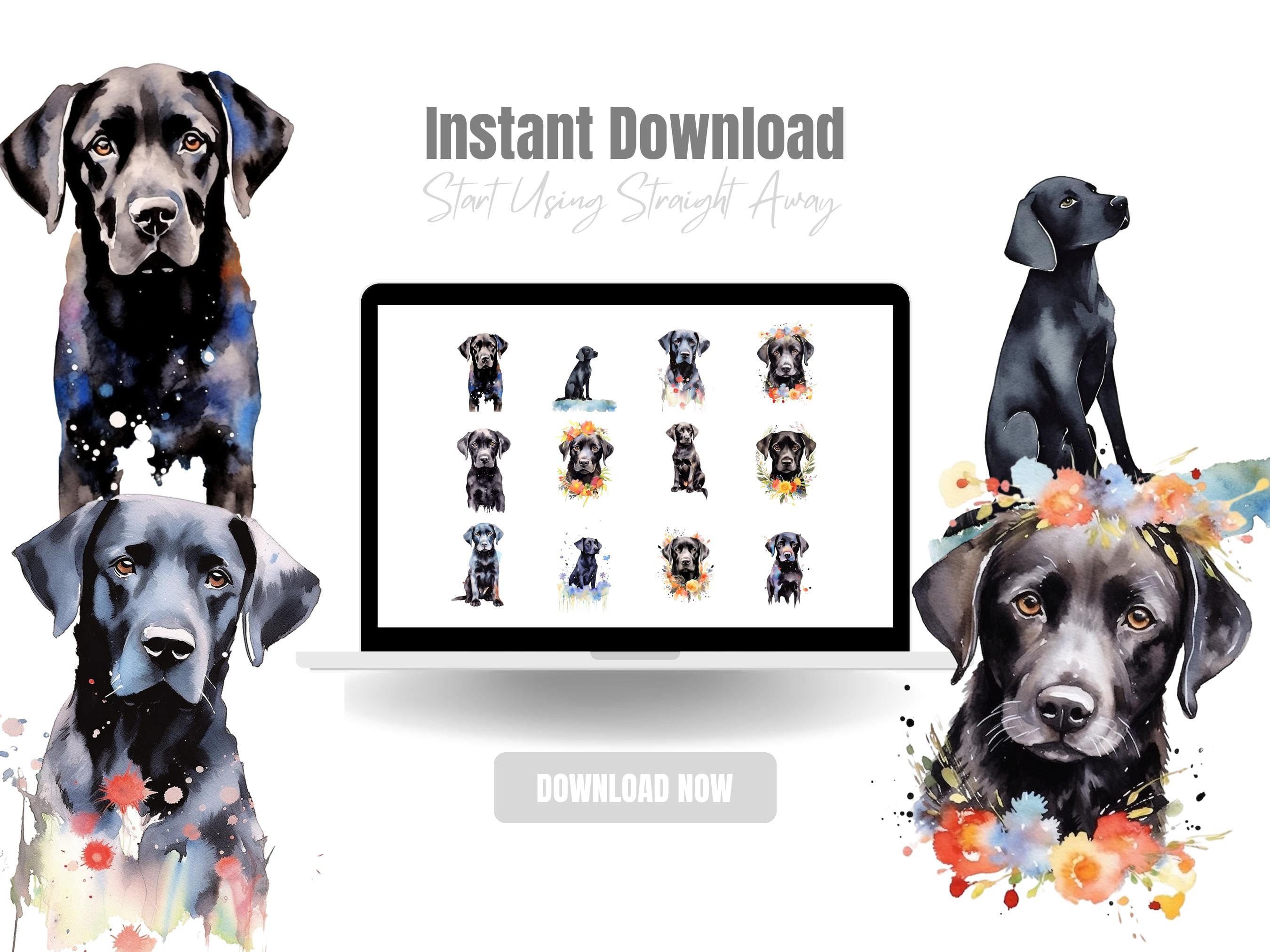 Black Labrador Clipart Set Lab Retriever PNG Dog Breed Face Clip Art ...