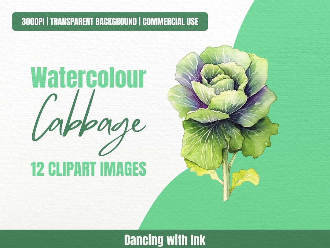 Cabbage Clipart Set Watercolour Vegetables Summer Spring Harvest ...