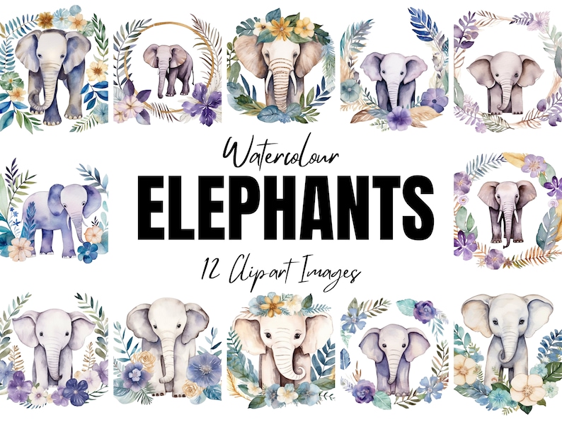 Elephants Clipart Set Teal and Purple Digital Png Illustration - Etsy