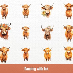 Highland Cow Clipart Set Watercolour Heilan Coo Png Commercial Use ...