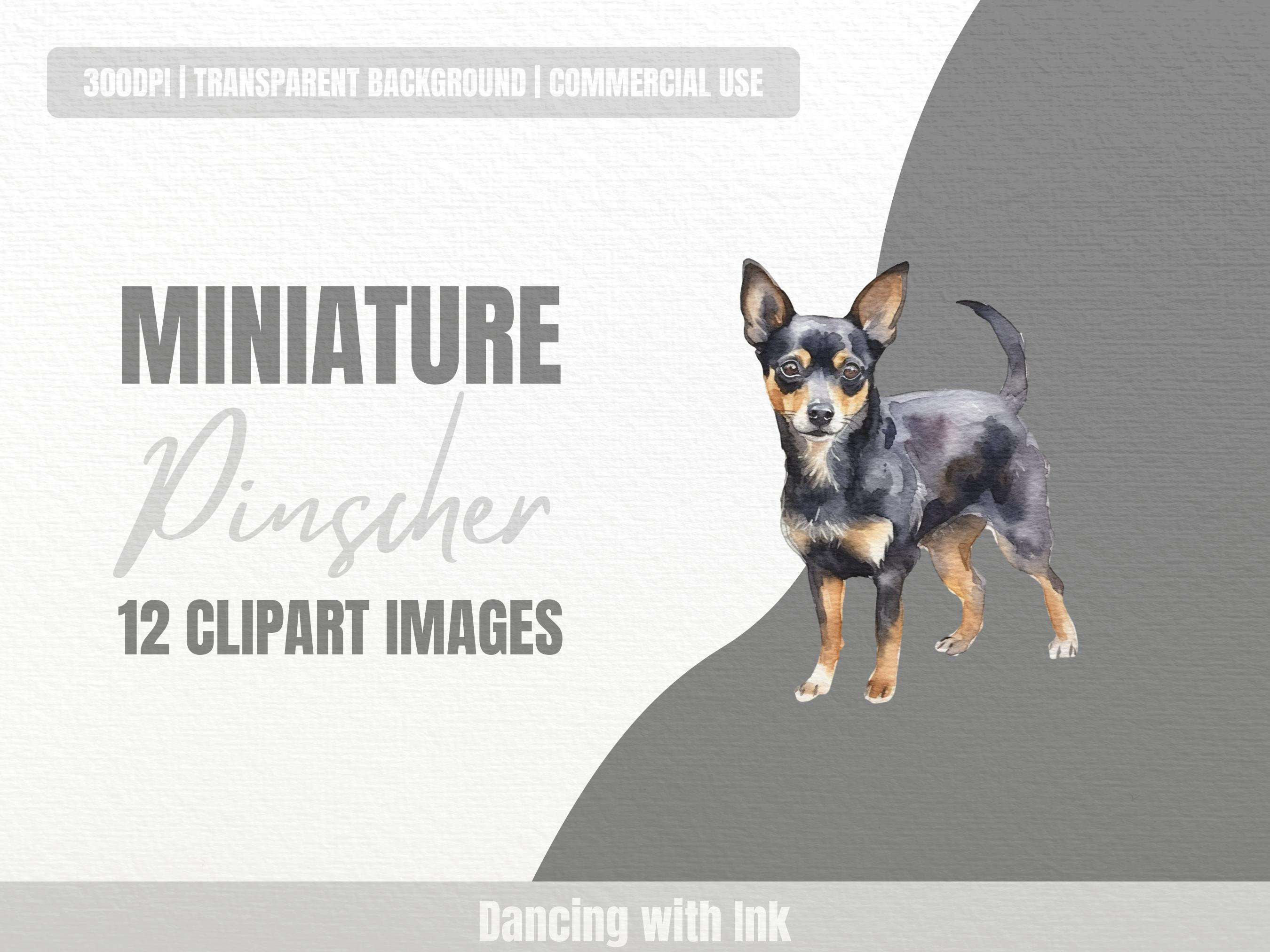 Miniature Pinscher Clipart Set Mini Pin Zwergpinscher Digital ...