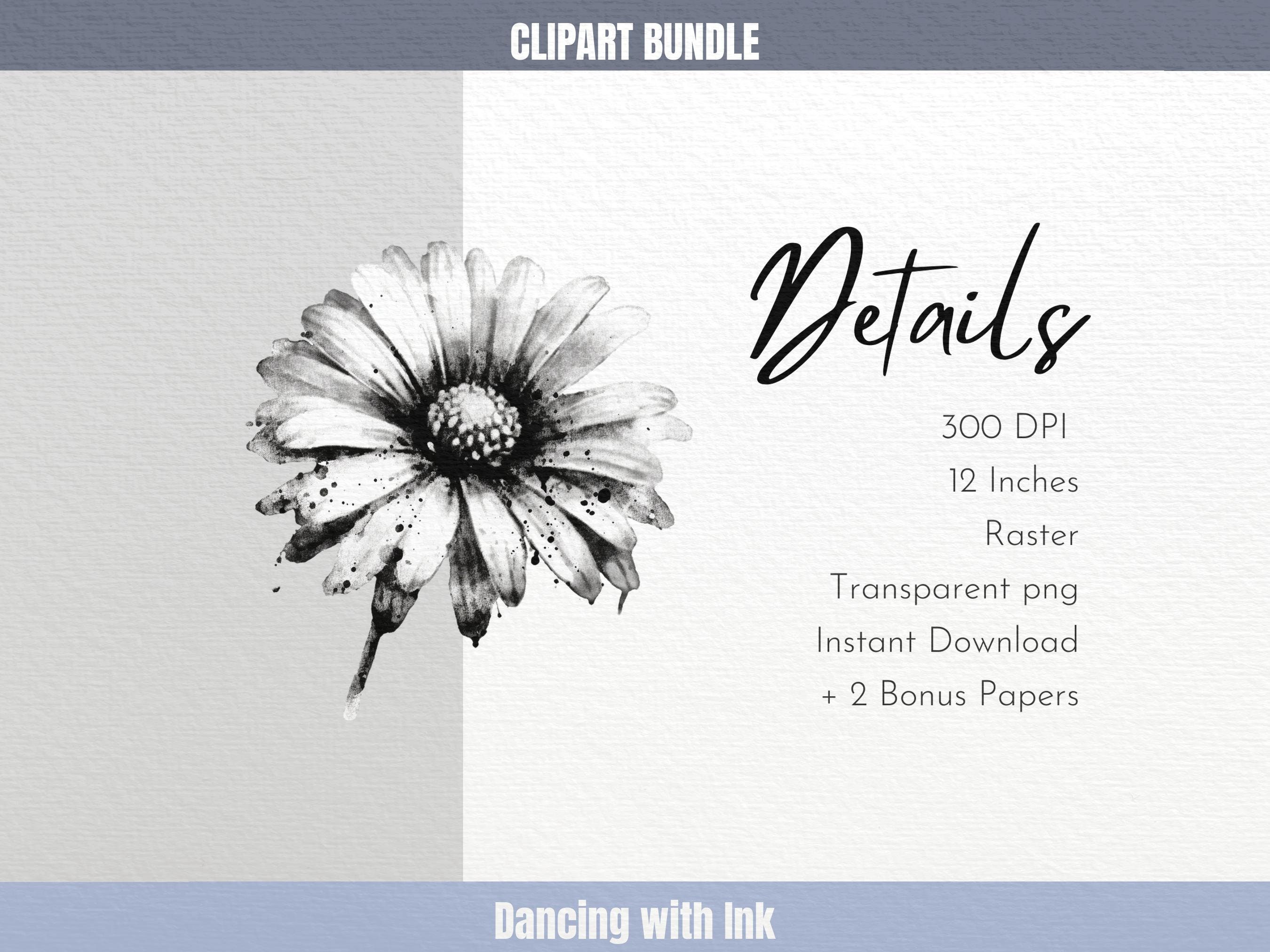 Daisies Clipart Set Black & White Digital Png Watercolour Bundle Clip ...