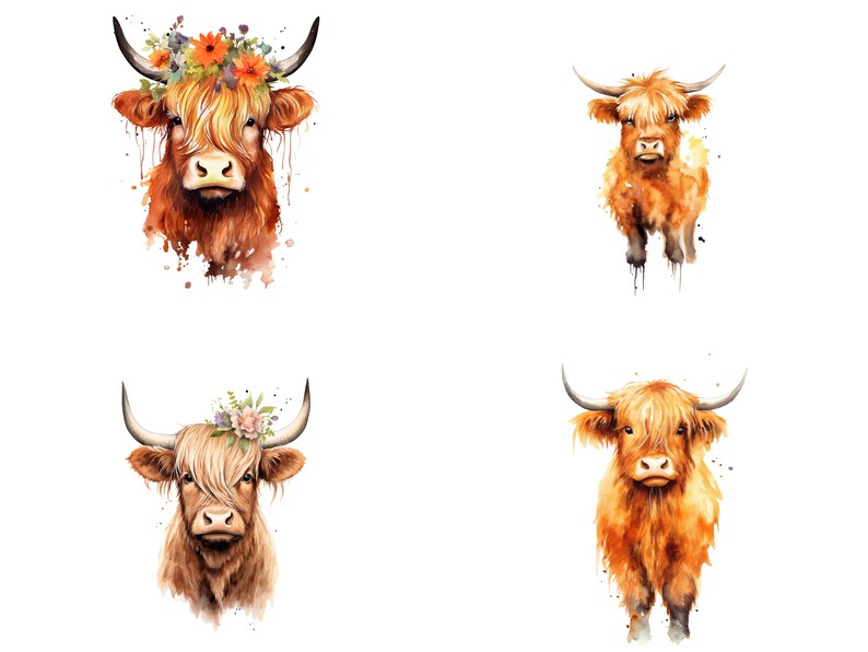 Highland Cow Clipart Set Watercolour Heilan Coo Png Commercial - Etsy