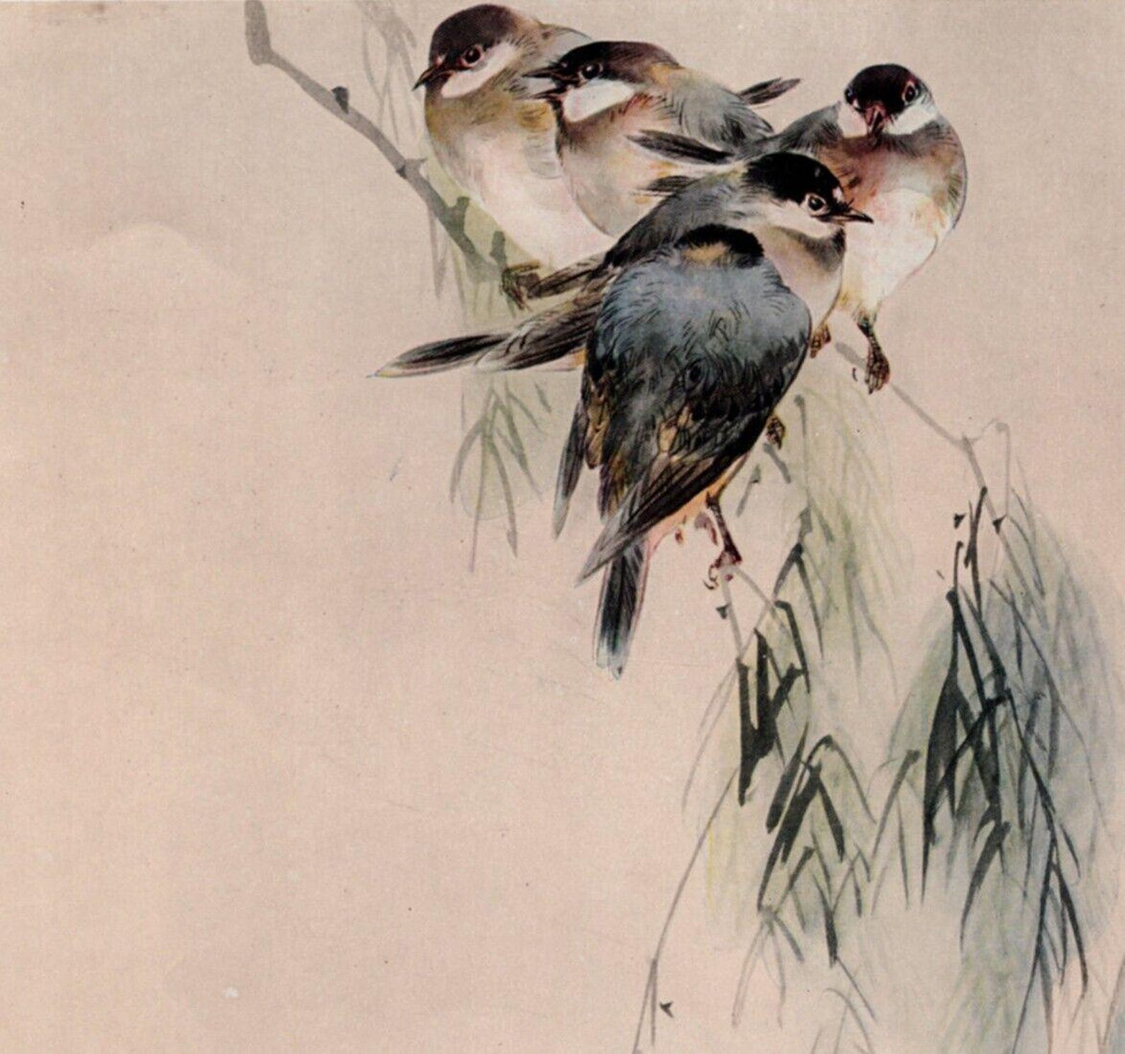 Suzuki KASON Antique Color Print "little Blue Finches" Gallery Framed ...