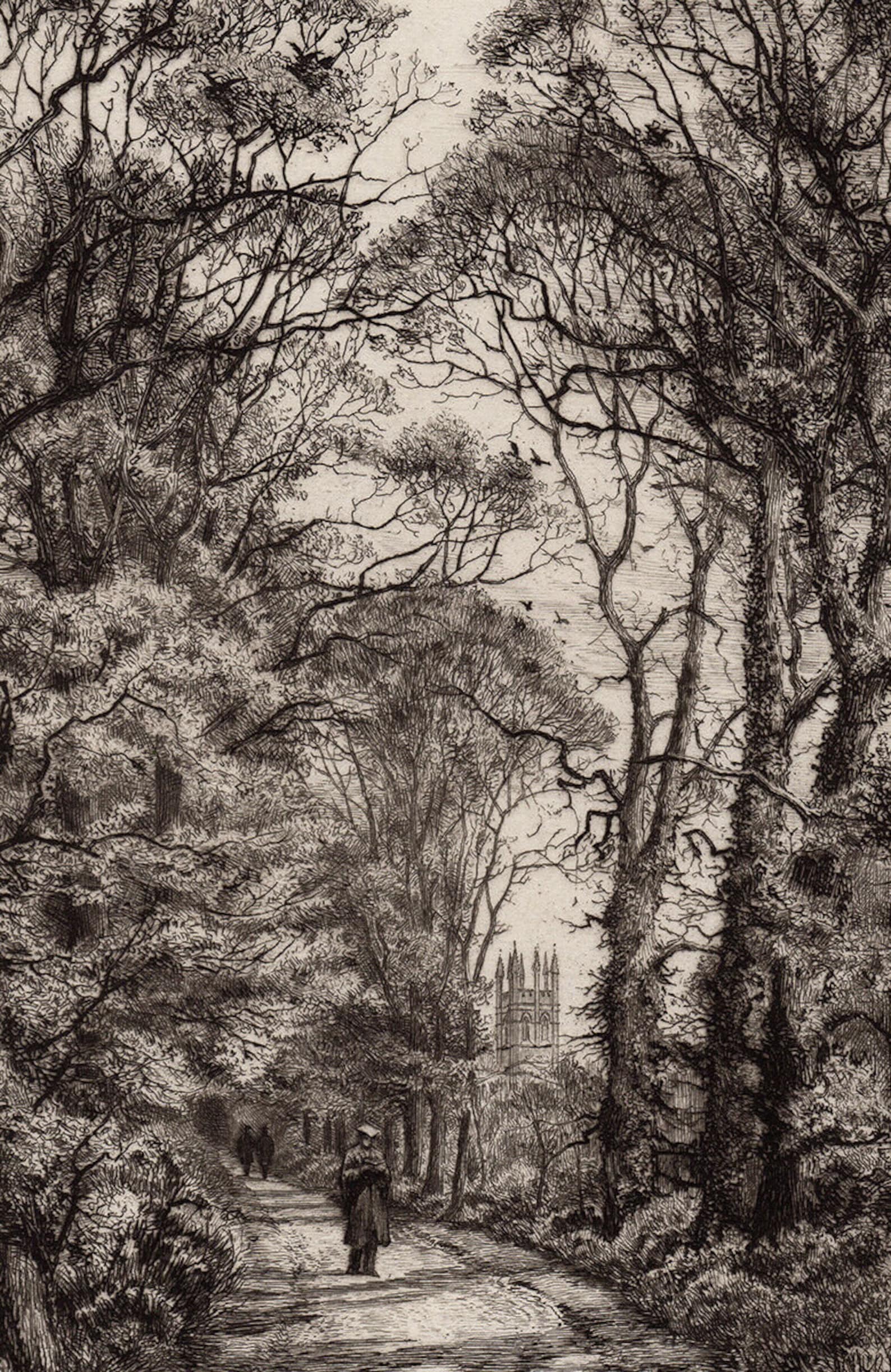 Frederick SLOCOMBE ORIGINAL 1800s Etching "a College Walk" Framed ...