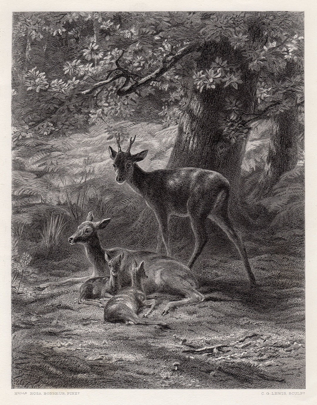 1800s Rosa BONHEUR SIGNED Engraving "the Resting Place of the Deer ...