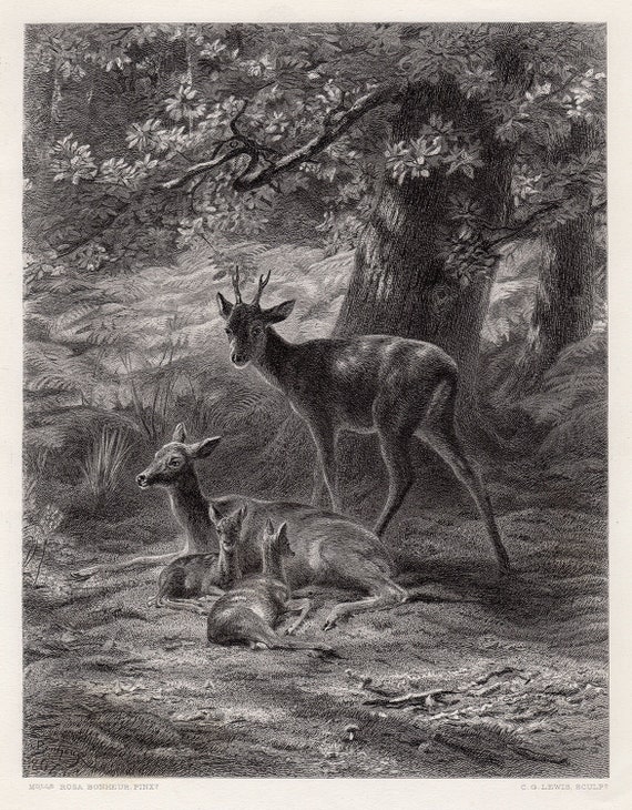 1800s Rosa BONHEUR SIGNED Engraving the Resting Place of | Etsy