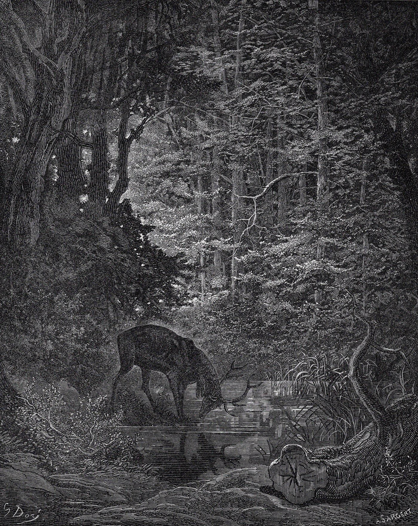 GUSTAVE DORE Fables of La Fontaine 1800s Woodcut "the Stag Viewing ...